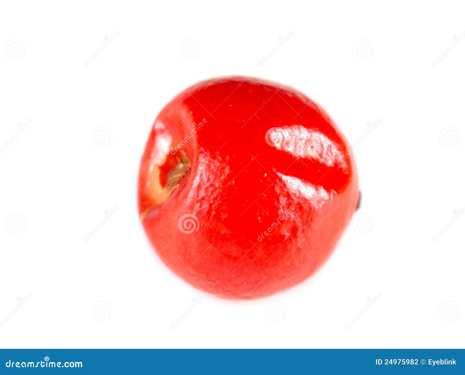 Pimenta cor-de-rosa foto de stock. Imagem de sabor, alimento - 24975982