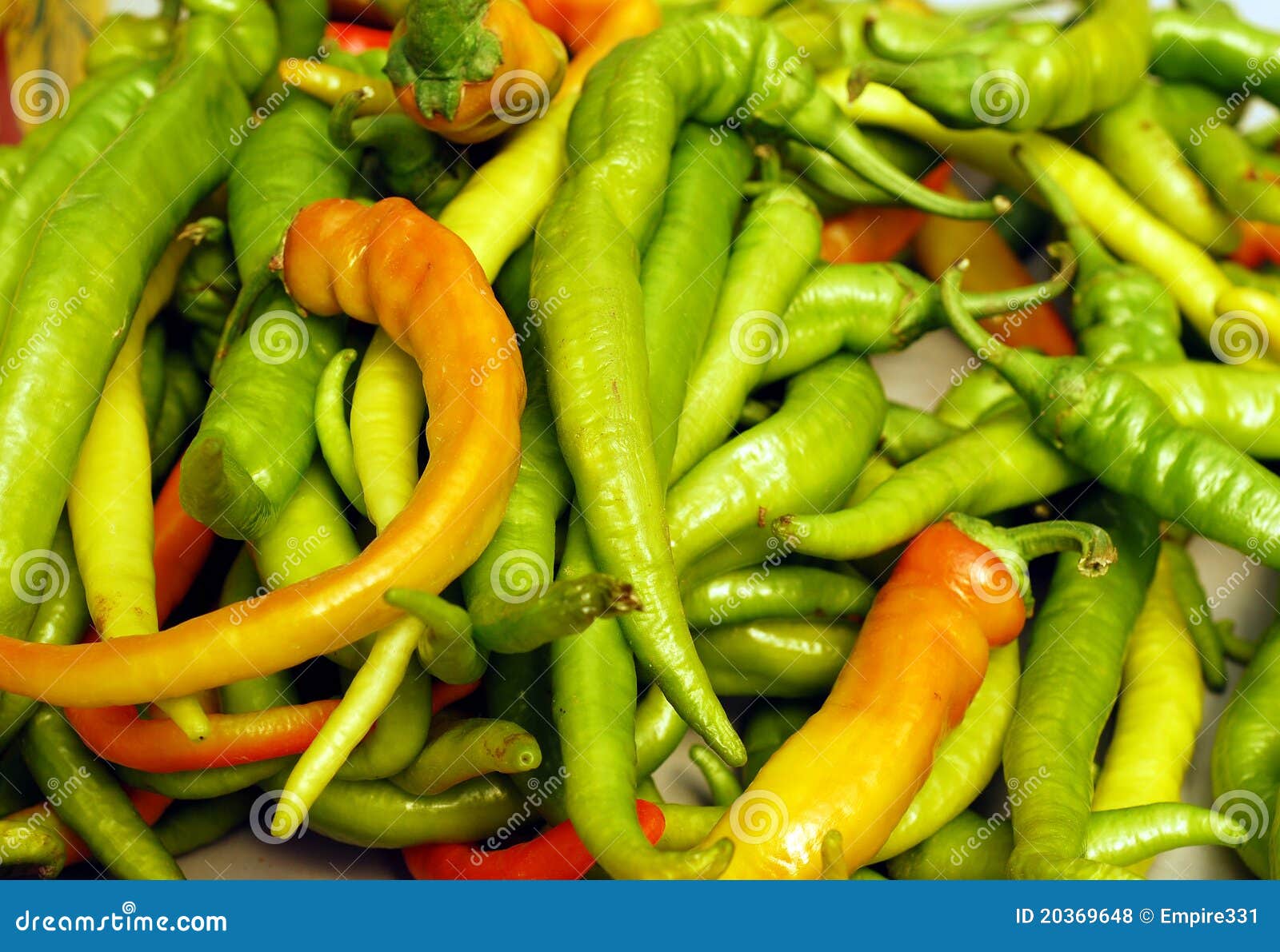 Pimenta verde foto de stock. Imagem de pimenta, vegetal - 20369648