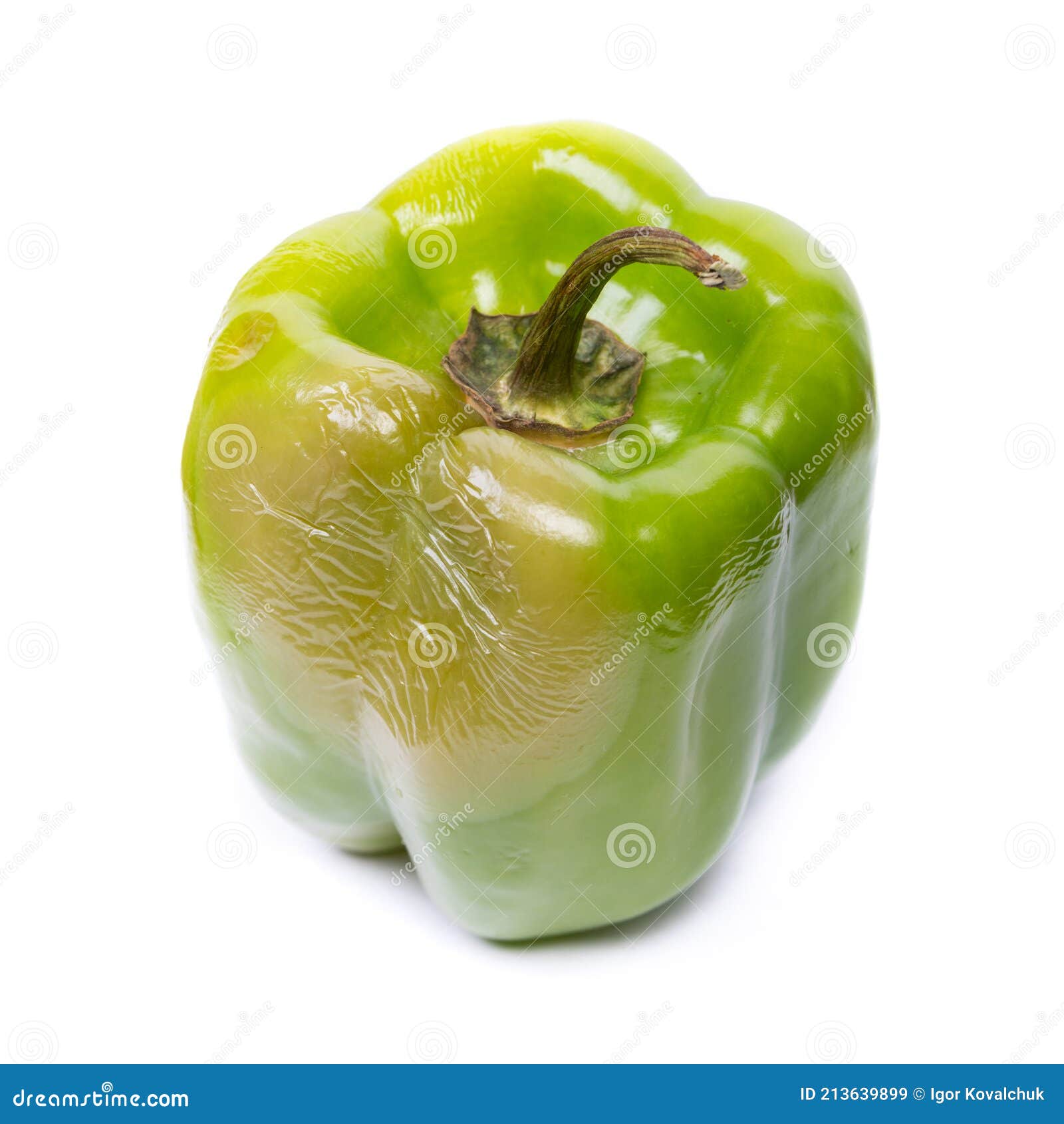 Pimenta verde podre imagem de stock. Imagem de insalubre - 213639899