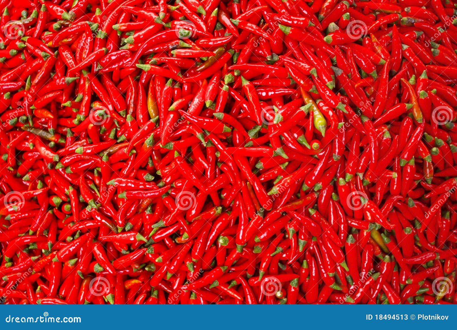 Pimentas vermelhas imagem de stock. Imagem de objeto - 18494513