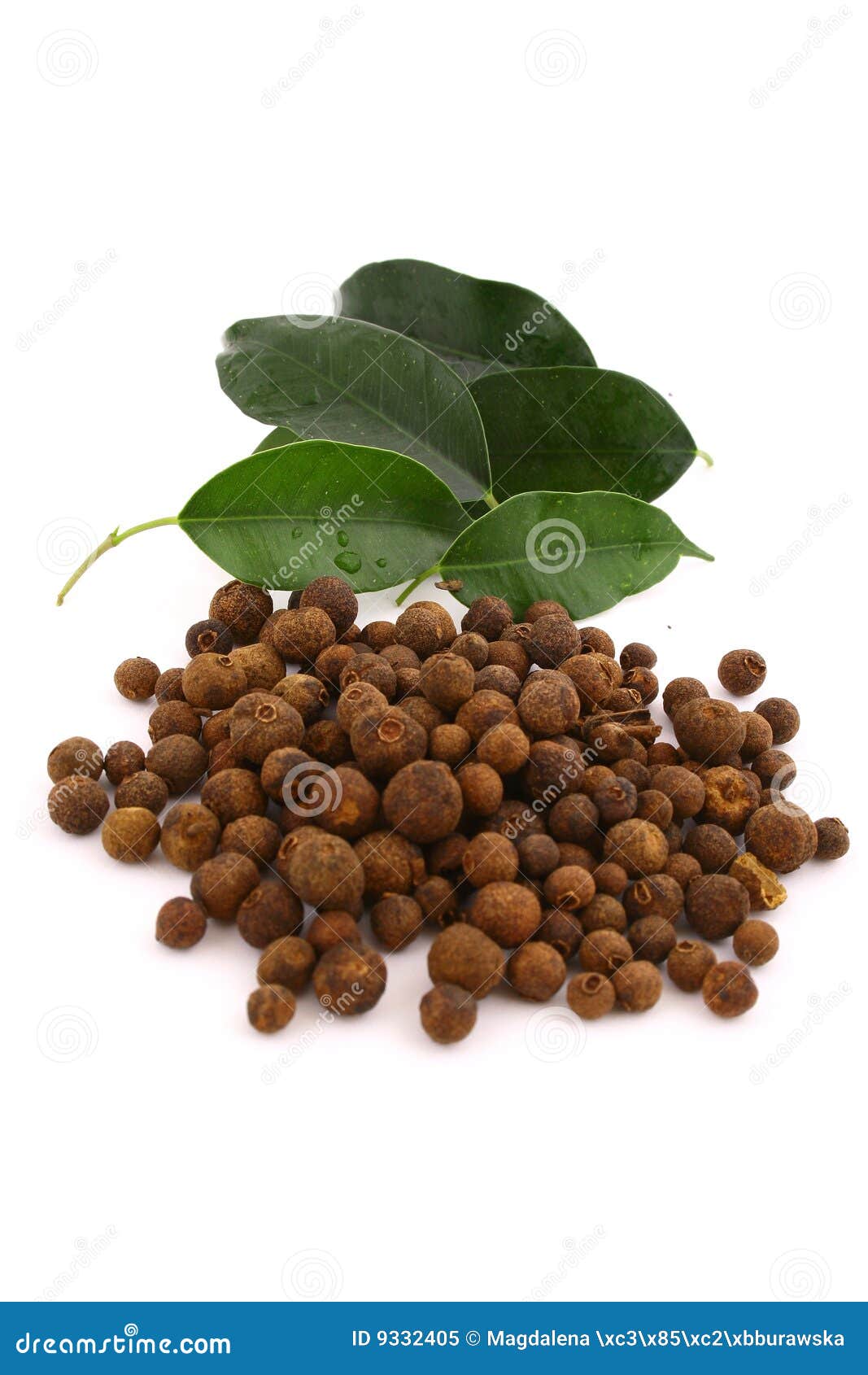 2,145 Dry Pimento Stock Photos - Free & Royalty-Free Stock Photos from ...