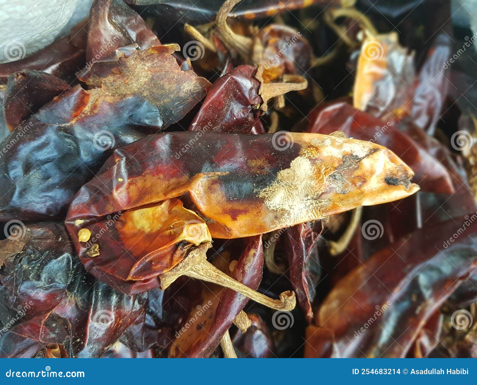 Pimentos Vermelhos Secos Utilizados Como Especiarias Foto de Stock ...