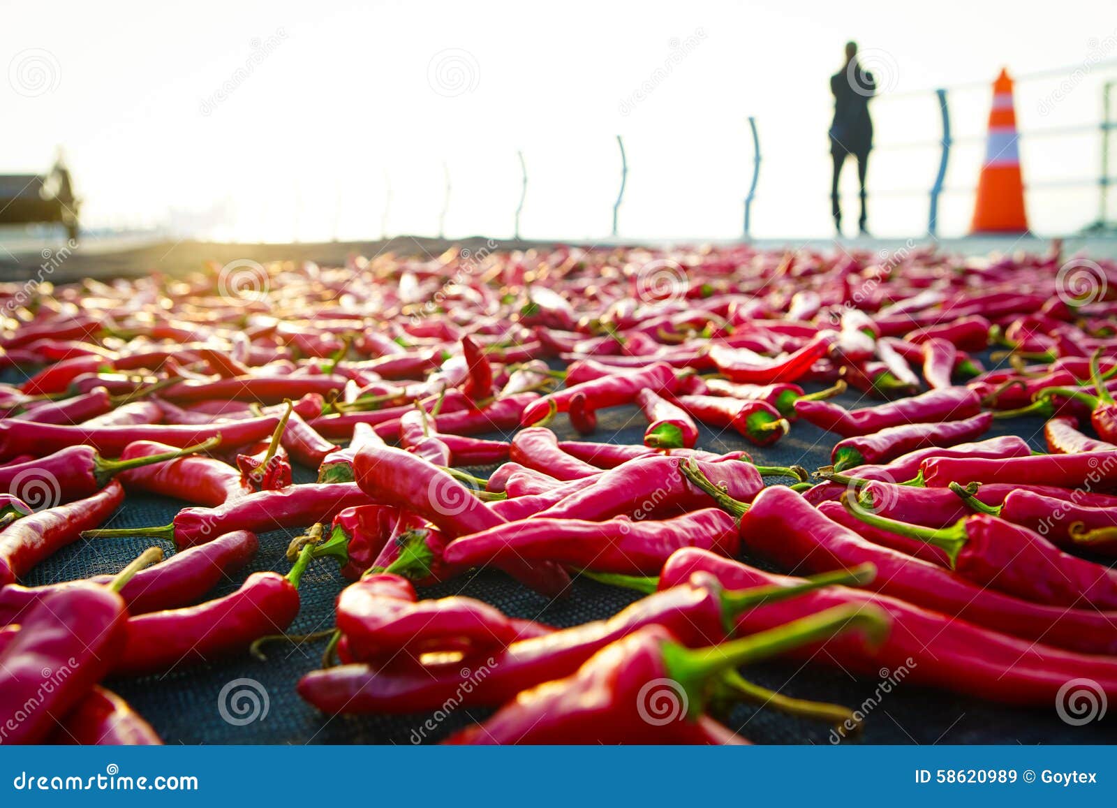 Piments rouges image stock. Image du épicé, cuillère - 58620989