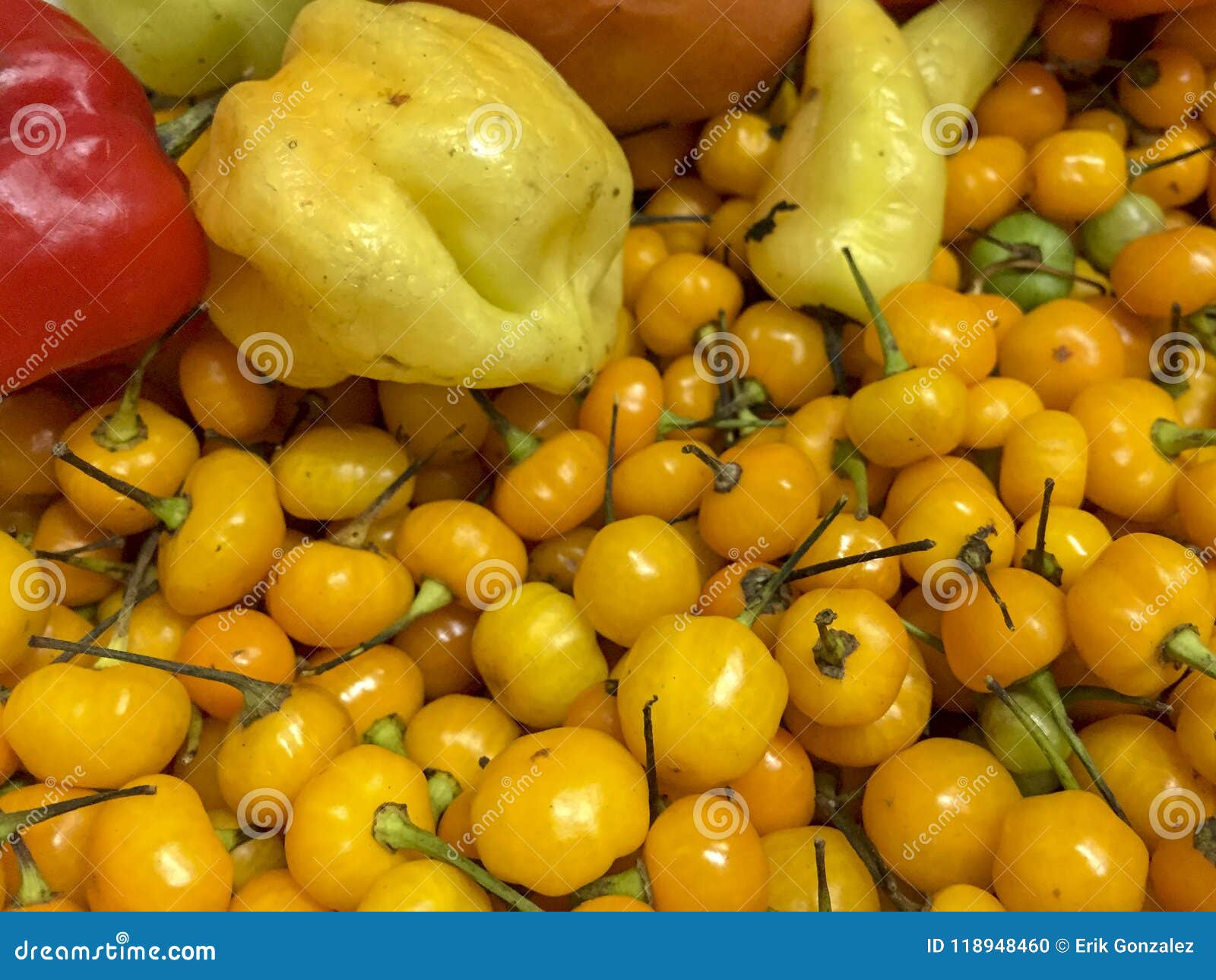 Pimienta amarilla peruana foto de archivo. Imagen de color - 118948460