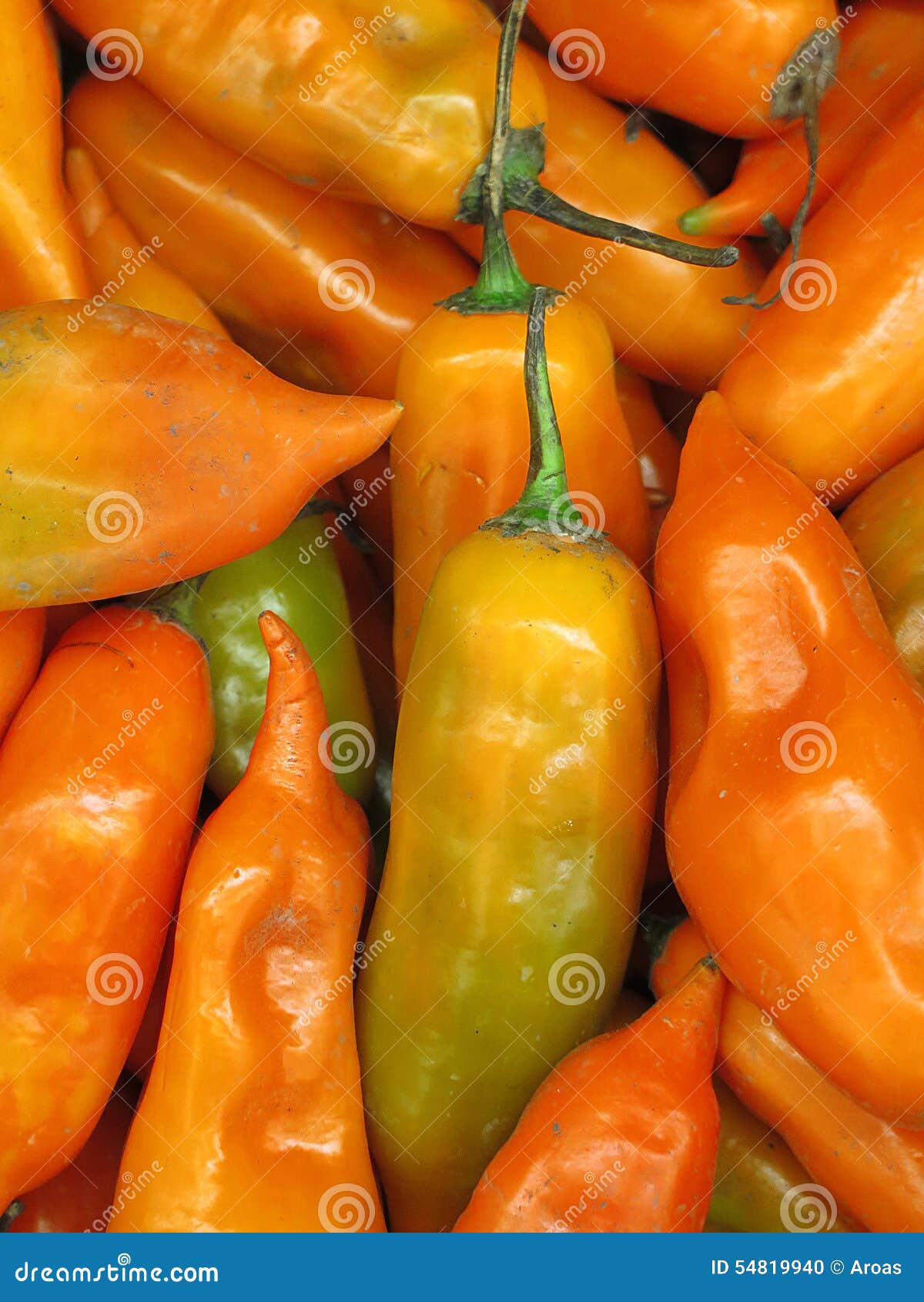 Pimienta De Chile Amarilla Peruana Foto de archivo - Imagen de sabor ...