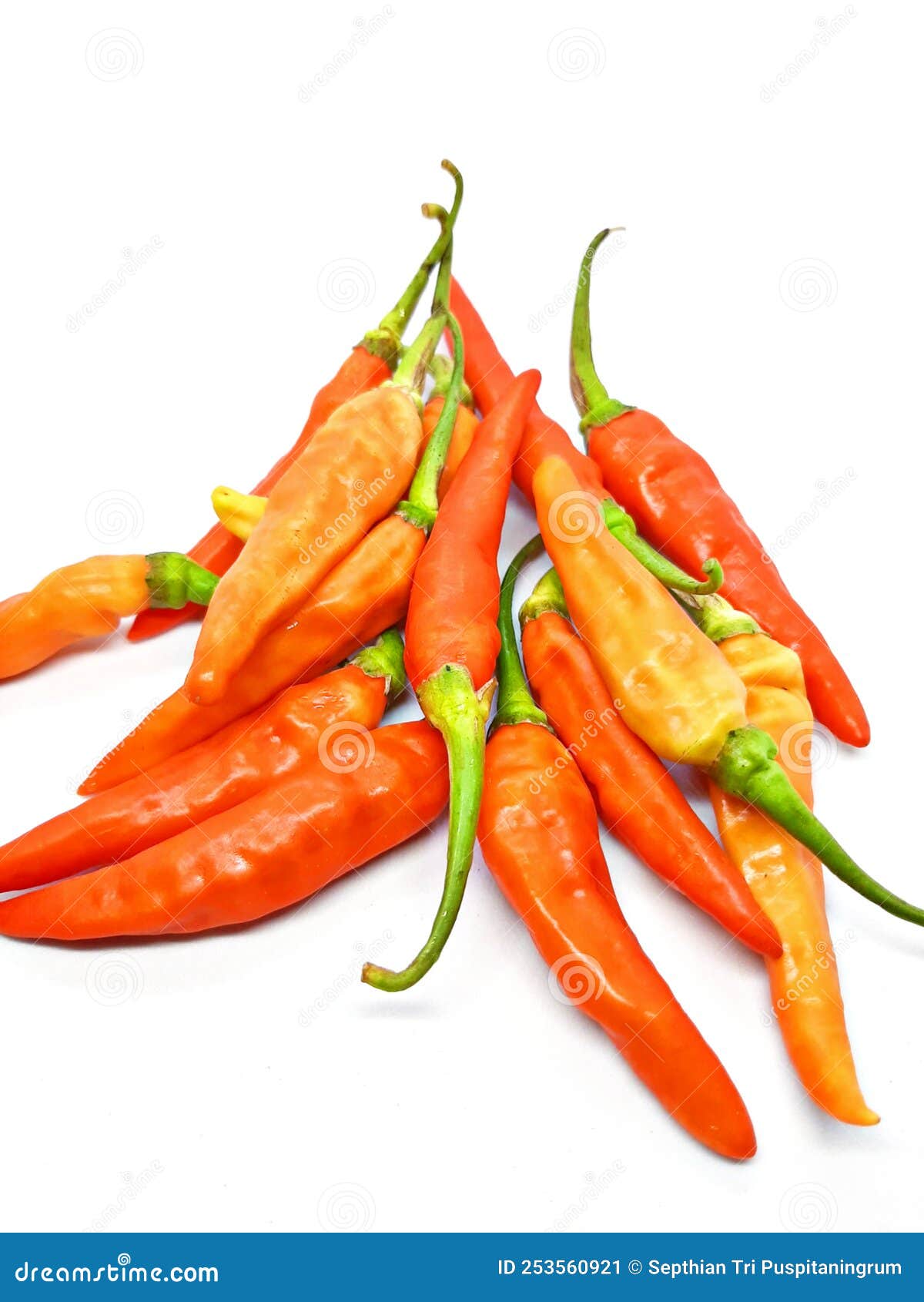 Pimienta Picante De Fondo Blanco. Imagen de archivo - Imagen de plato ...