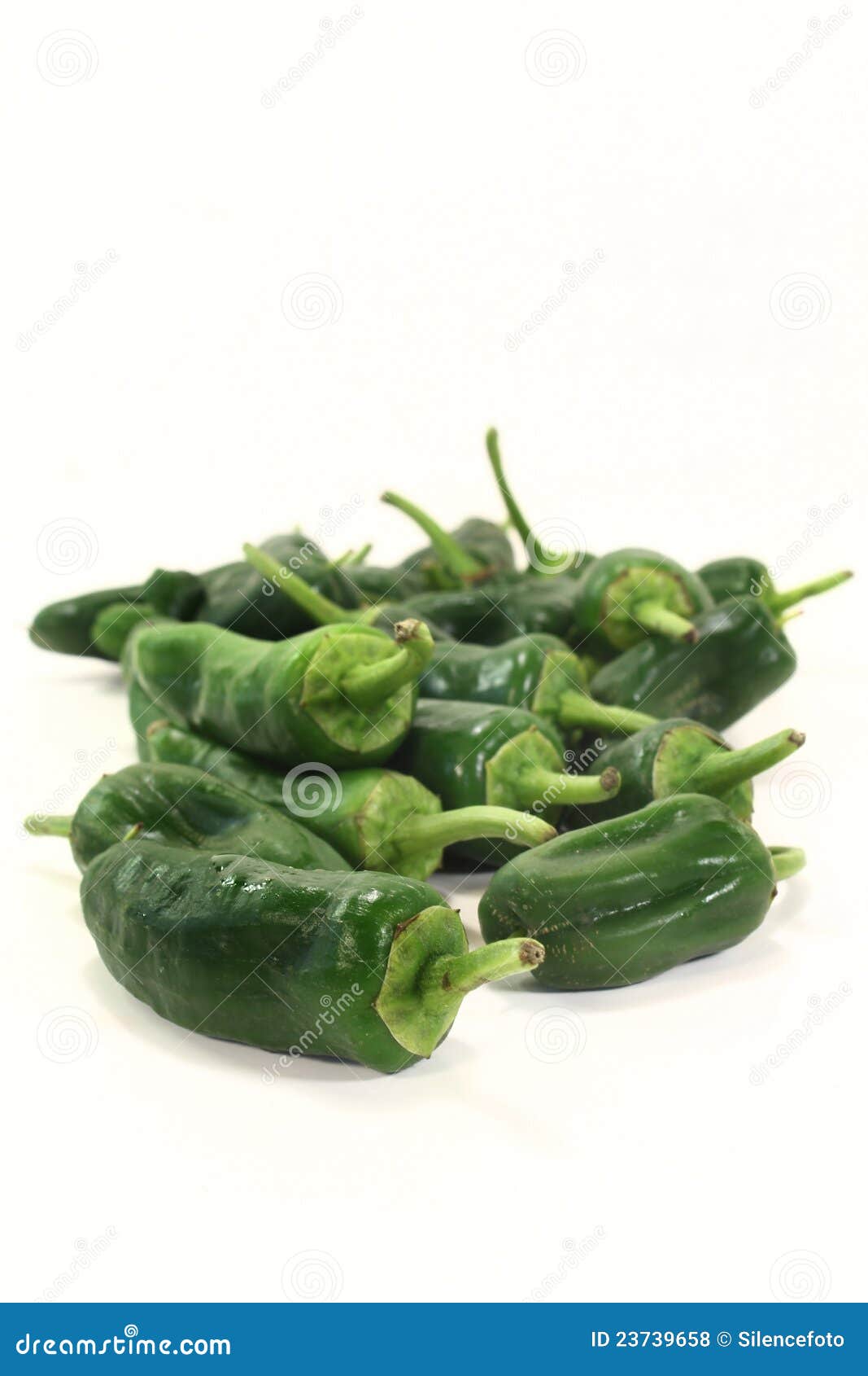 Pimientos morrones foto de archivo. Imagen de pimientos - 23739658