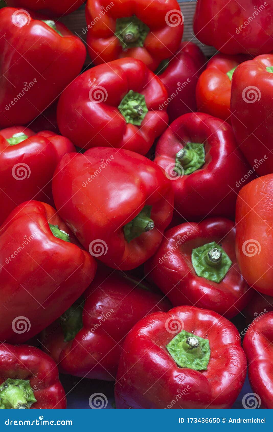Pimientos Morrones Rojos O Capsicums Foto de archivo - Imagen de ...