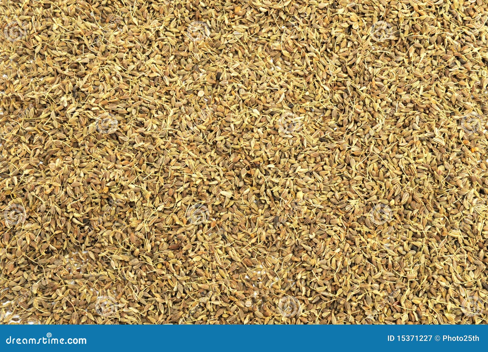 Pimpinella anisum stock image. Image of seed, herbal - 15371227