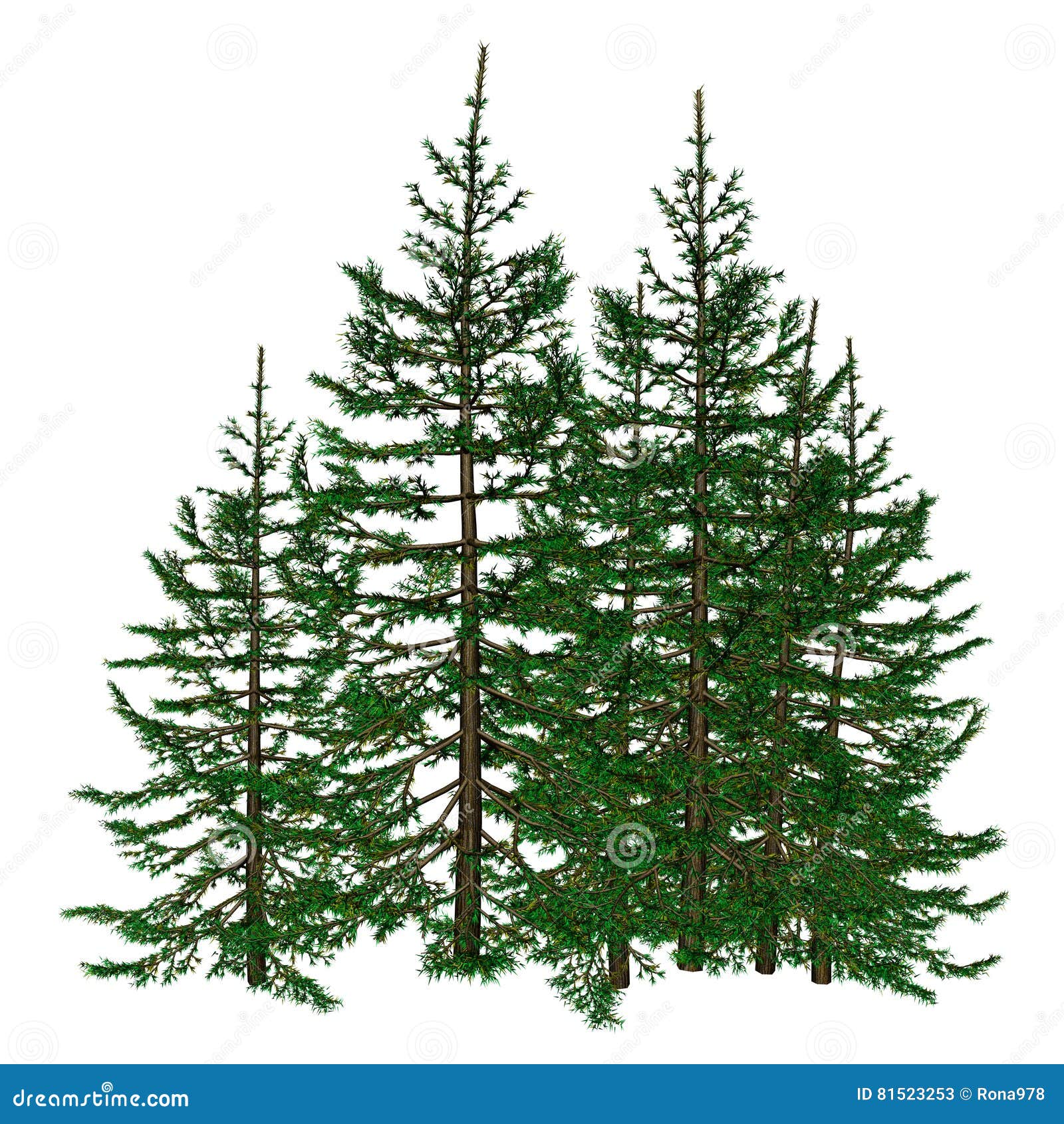 Pin illustration stock. Illustration du dessins, écorce - 81523253