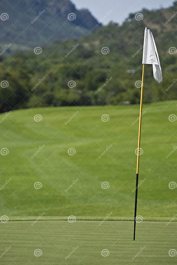 Pin, Green & Fairway stock photo. Image of putting - 14311918