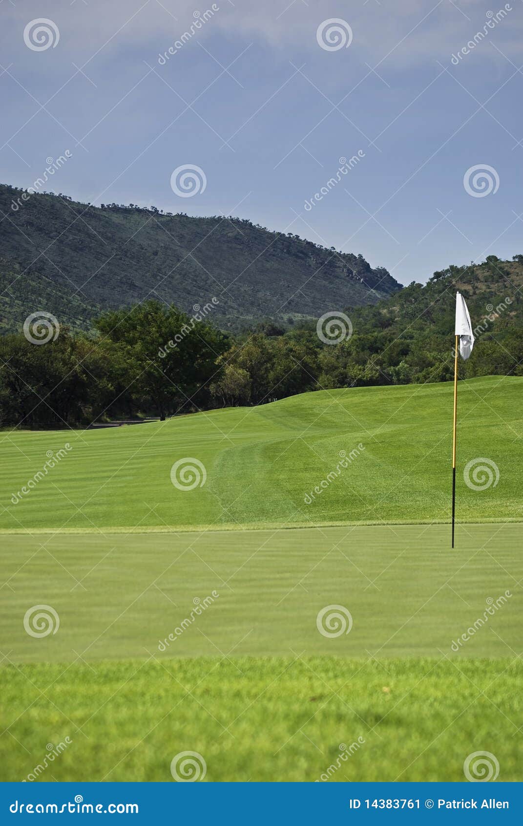 Pin, Green & Fairway stock image. Image of outdoors - 14383761