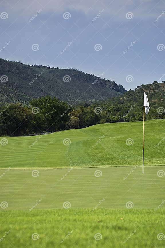 Pin, Green & Fairway stock image. Image of outdoors - 14383761