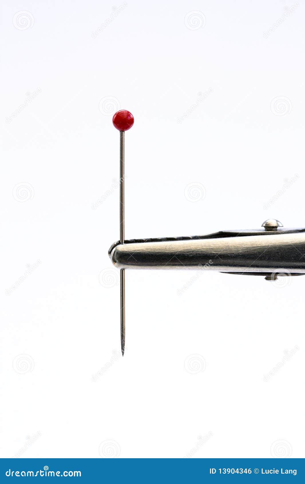 Pin held by crocodile clip stock photo. Image of metal - 13904346