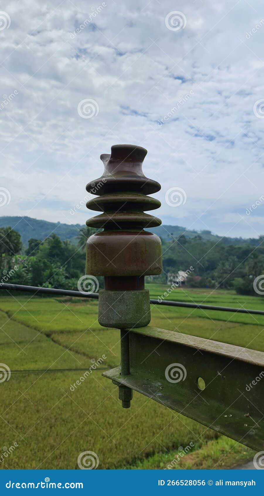 Pin post insulator stock photo. Image of insulator, glass - 266528056