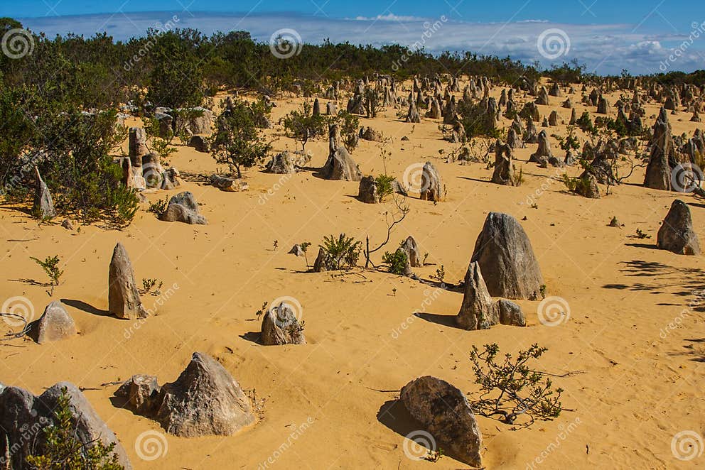 Pinacles stock image. Image of sunrise, pinacles, sunset - 29537955