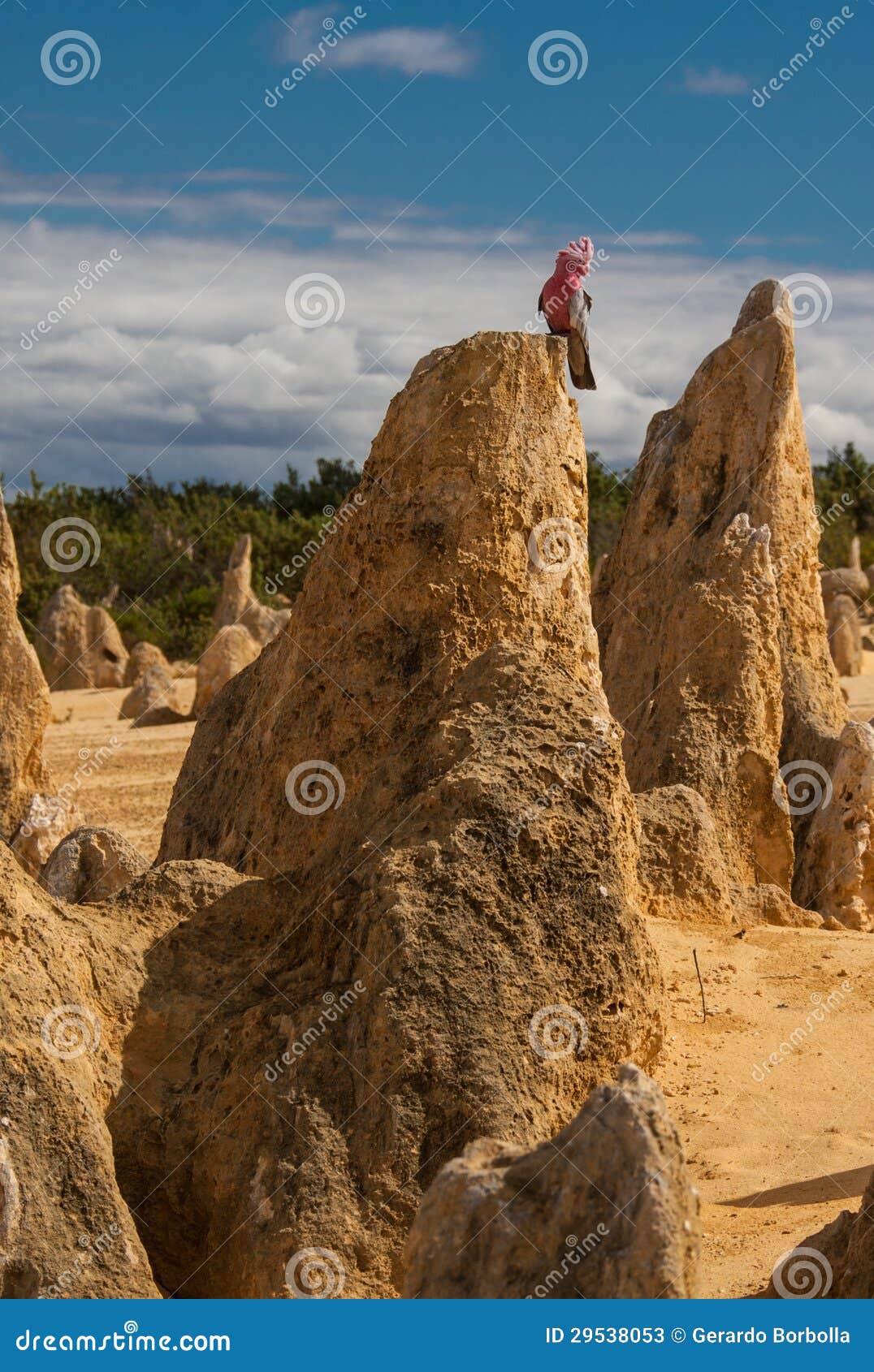 Pinacles stock image. Image of summer, road, landscape - 29538053