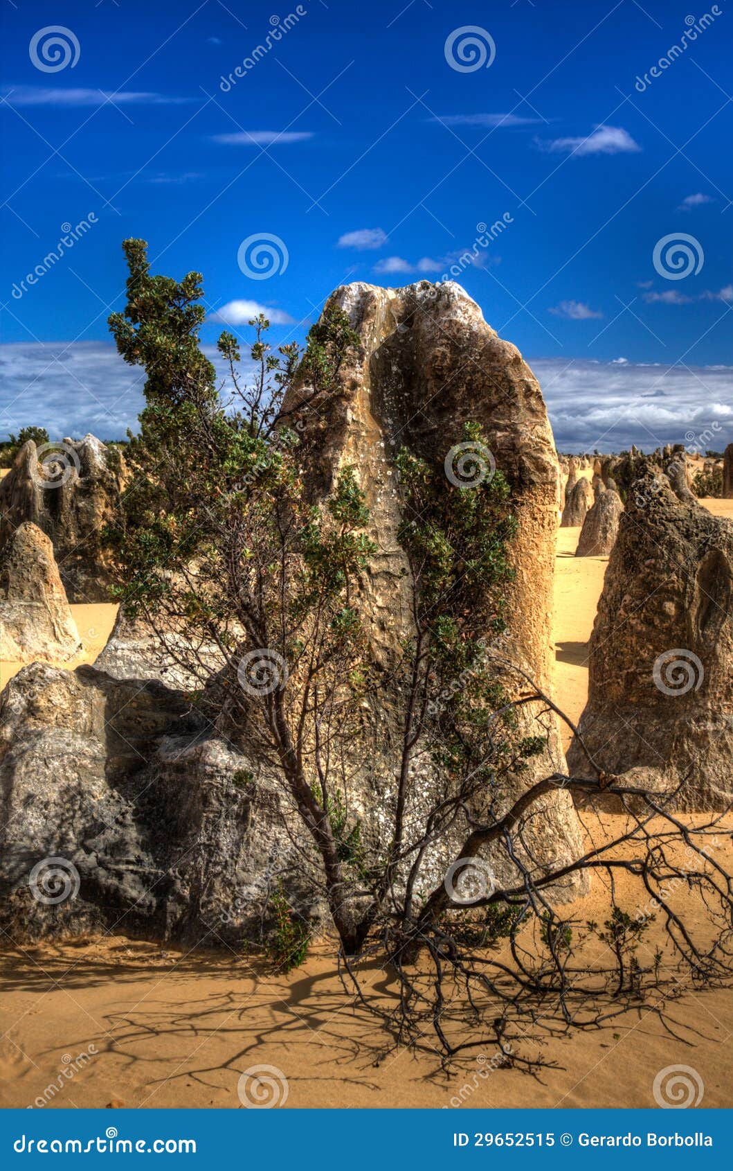 Pinacles stock image. Image of road, travel, outdoor - 29652515