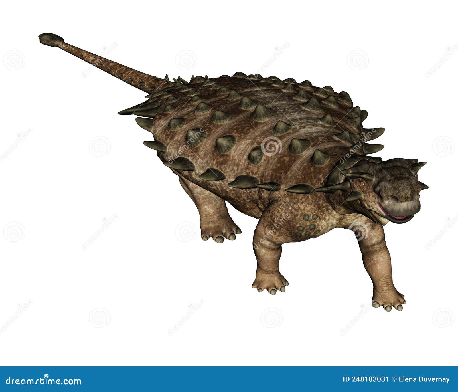 Dinosaur Pinacosaurus Coloring Pages Royalty-Free Cartoon ...