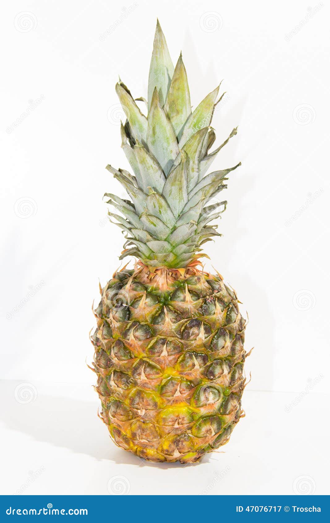 Pinaple isolated on white stock image. Image of closeup - 47076717