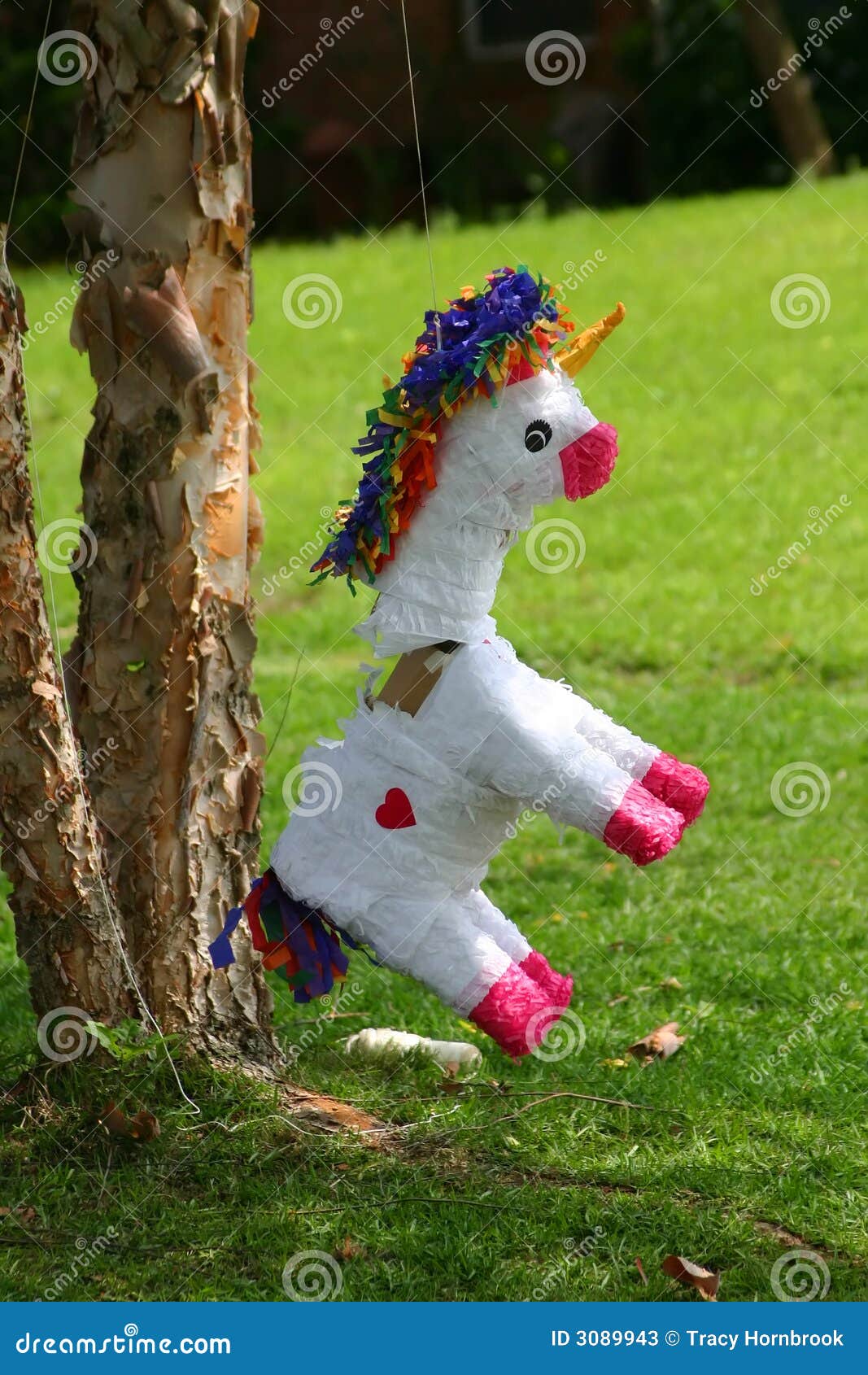 Pinata stock image. Image of tree, outside, paper, broken - 3089943