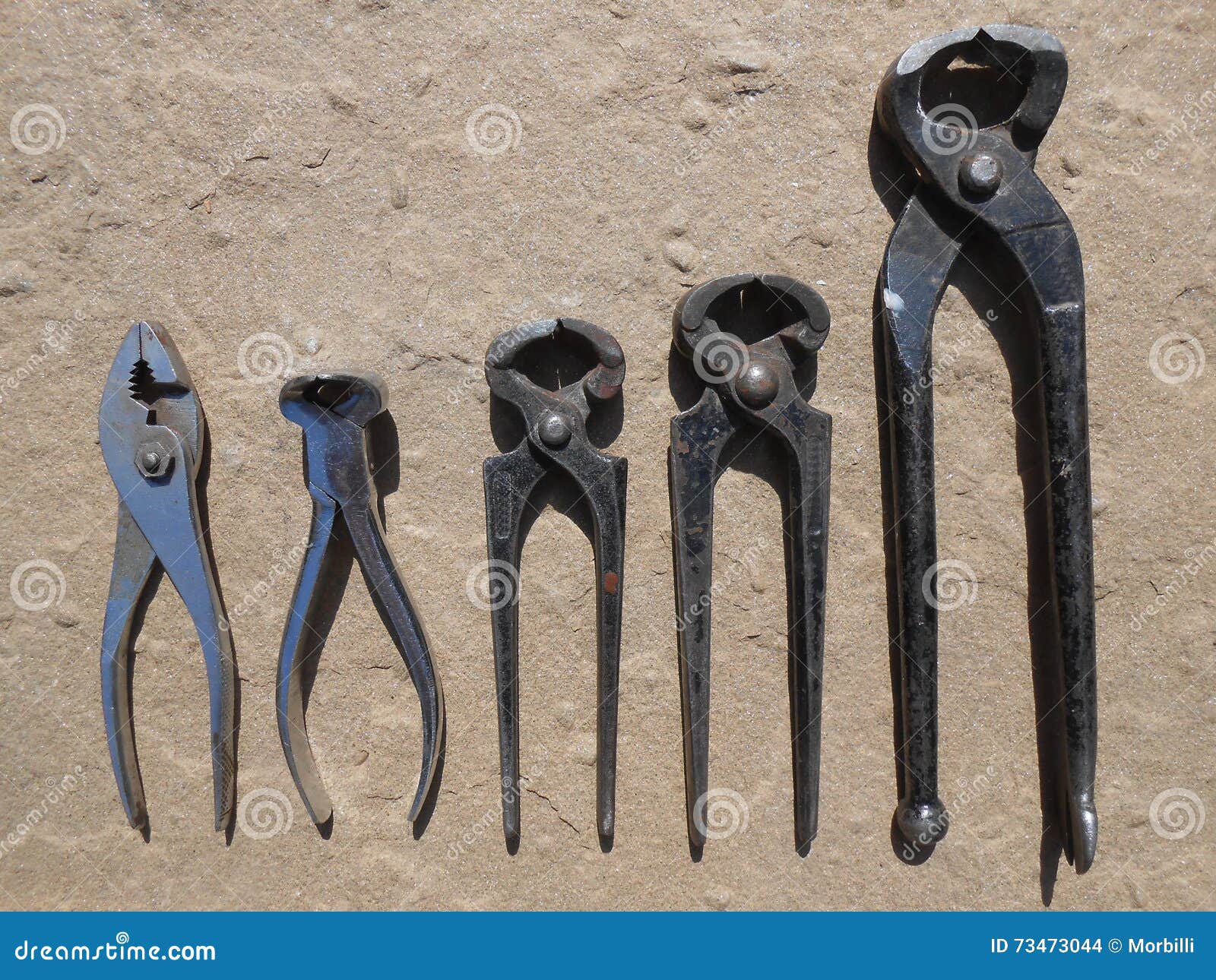 Pinces photo stock. Image of outils, pinces, modèle, sort - 73473044