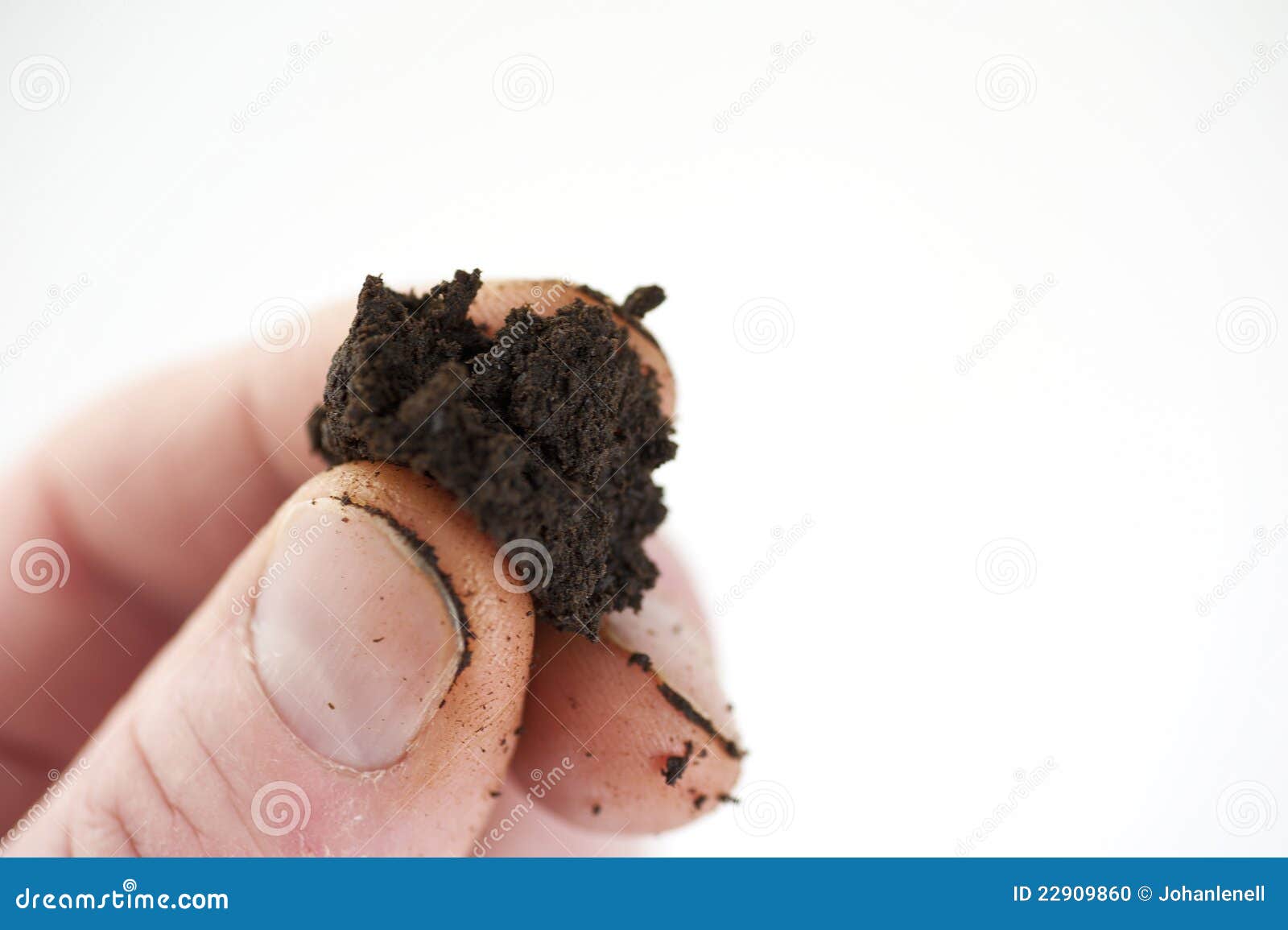 Pinch of moist snuff stock photo. Image of moist, forming - 22909860