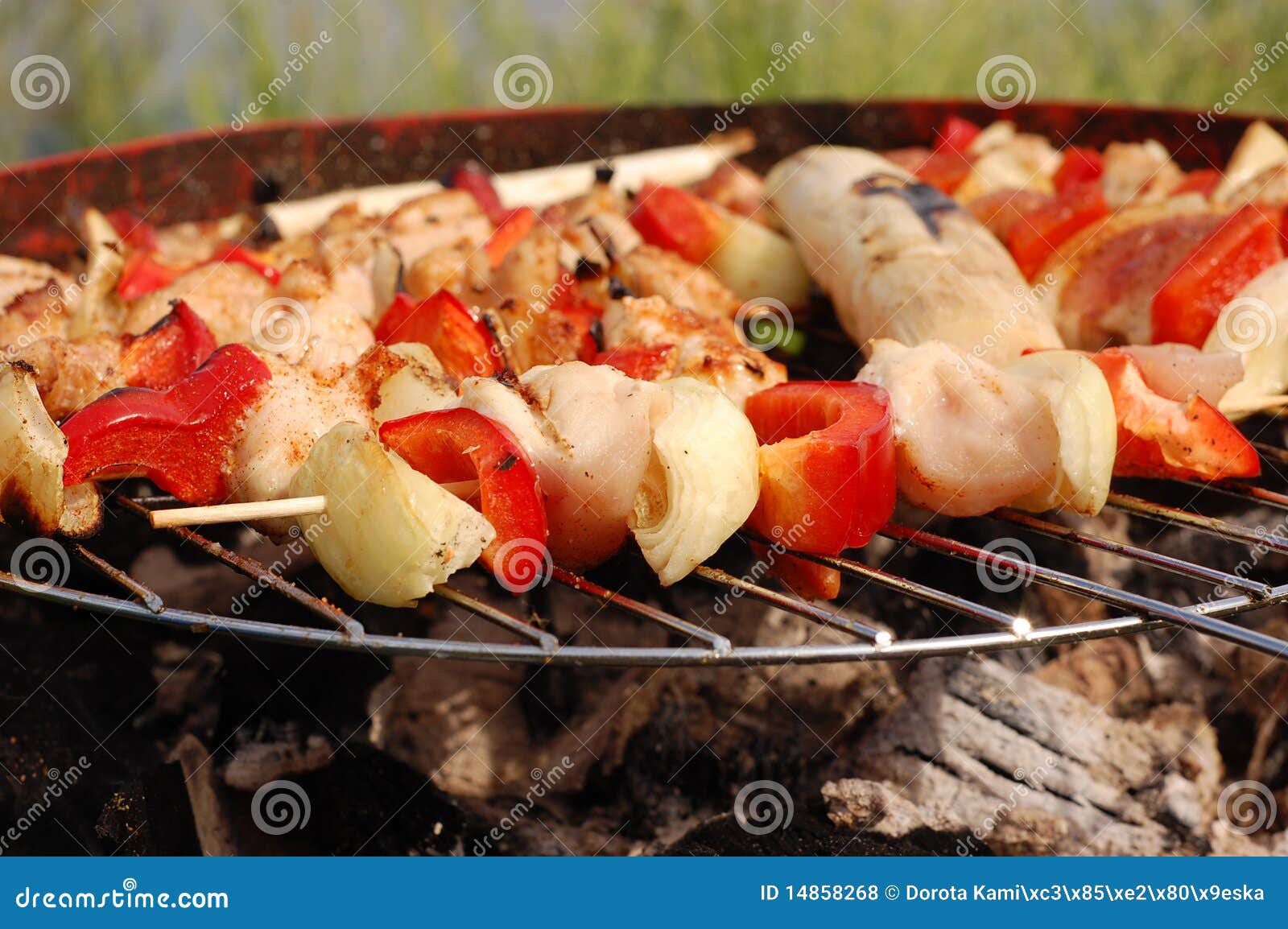 Pinchos en una barbacoa foto de archivo. Imagen de barbacoa - 14858268