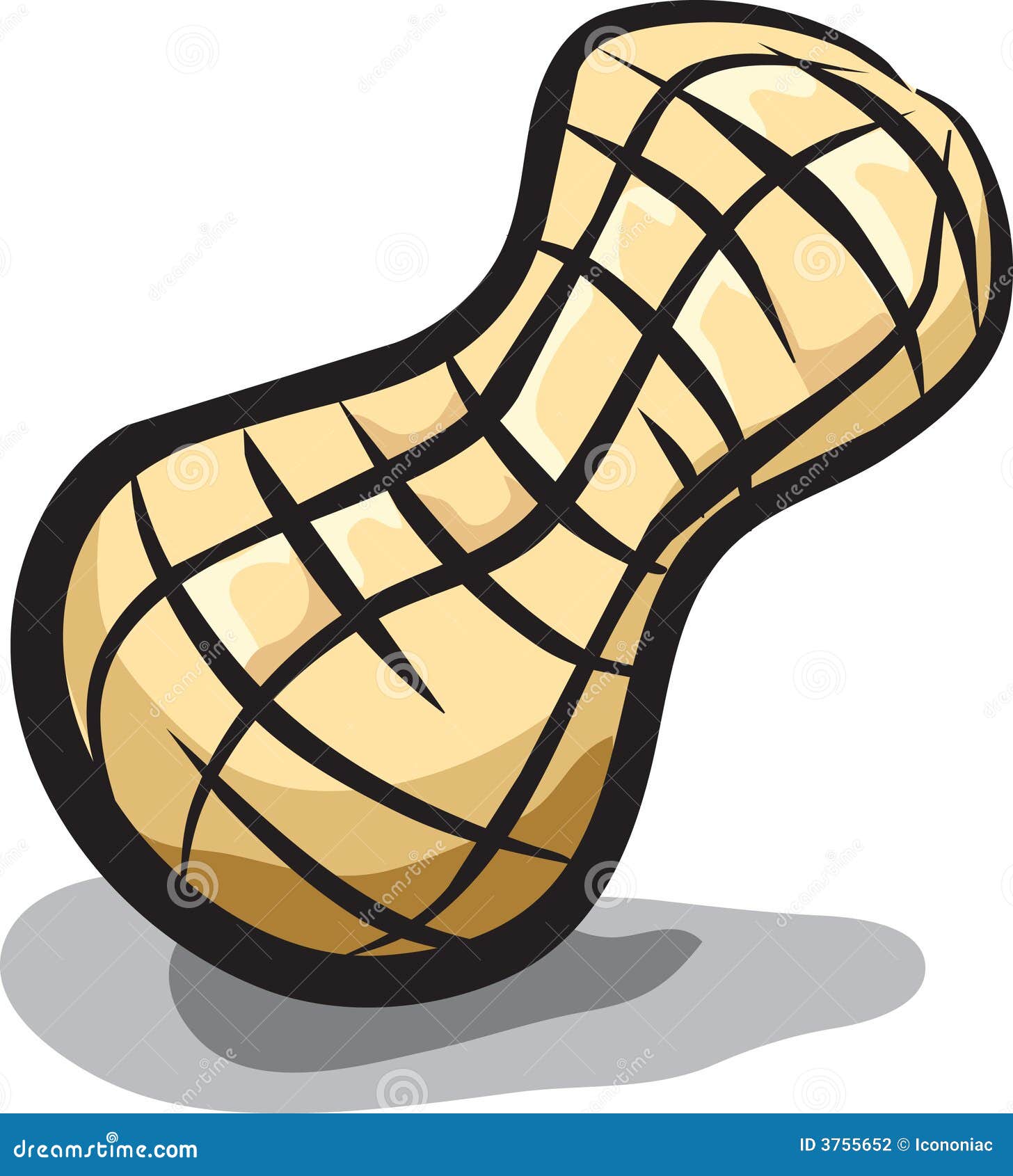 Pinda vector illustratie. Illustration of eten, gezond - 3755652