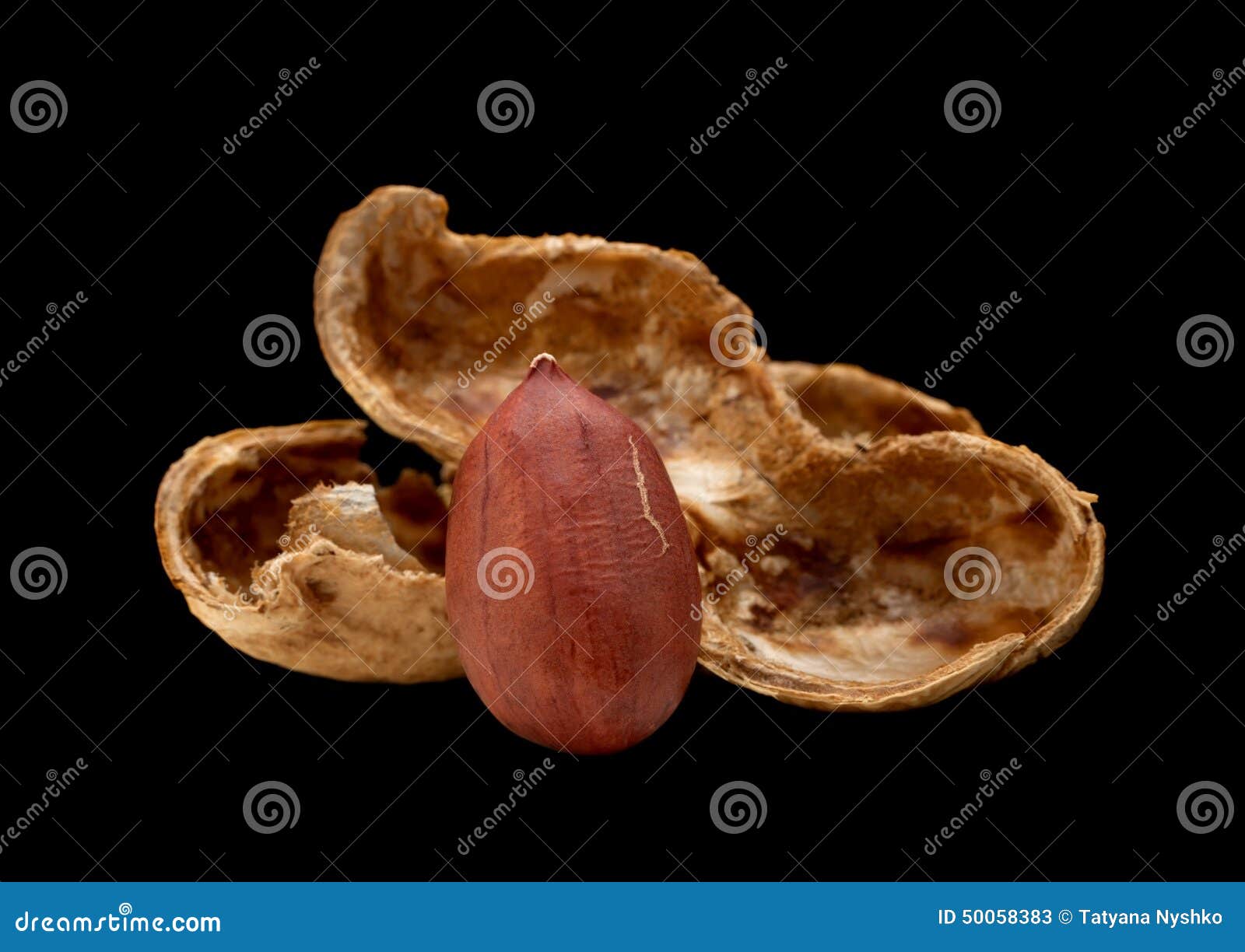 Pinda op zwarte stock afbeelding. Image of zaad, peulvrucht - 50058383