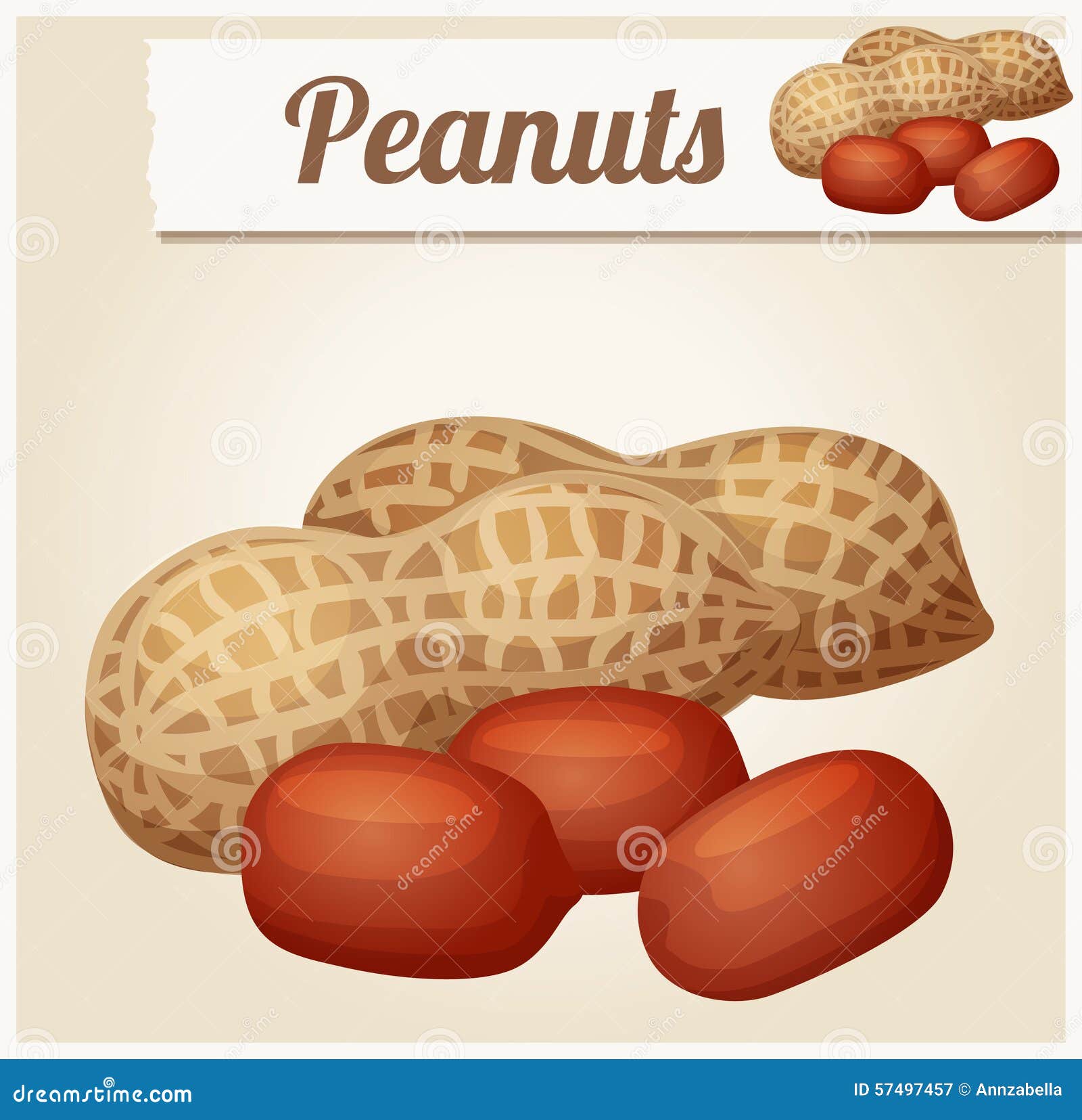 Pinda's Gedetailleerd Vectorpictogram Vector Illustratie - Illustration ...