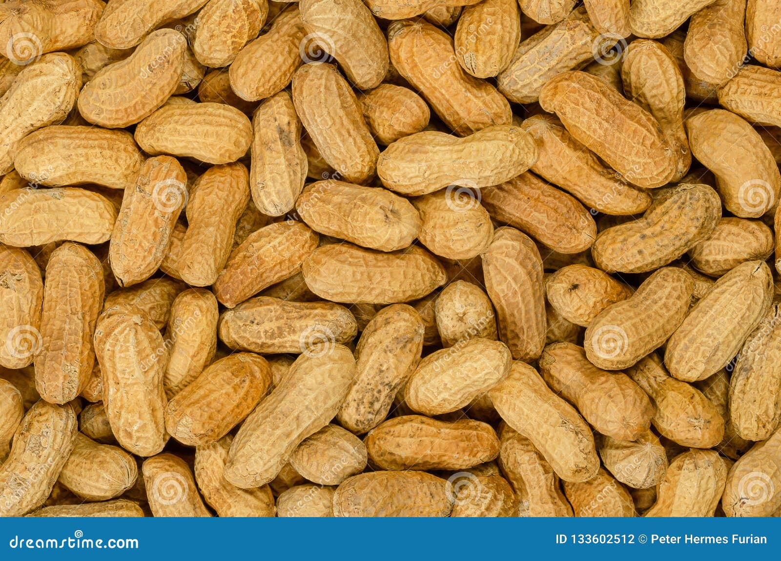 Pinda's Met Shell, Achtergrond, Macrovoedselfoto Stock Foto - Image of ...