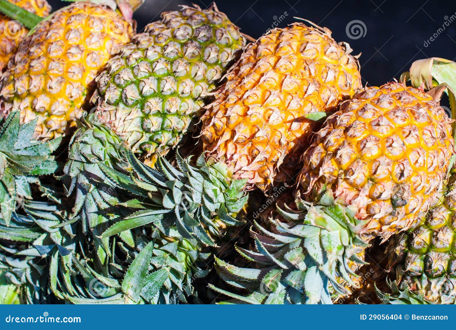 Pine-apple stock photo. Image of table, juice, fruity - 29056404