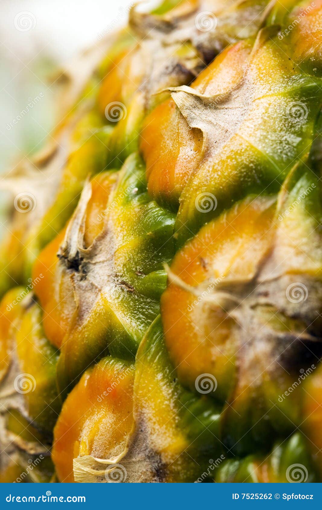 Pine-apple stock photo. Image of detail, dinner, delicious - 7525262