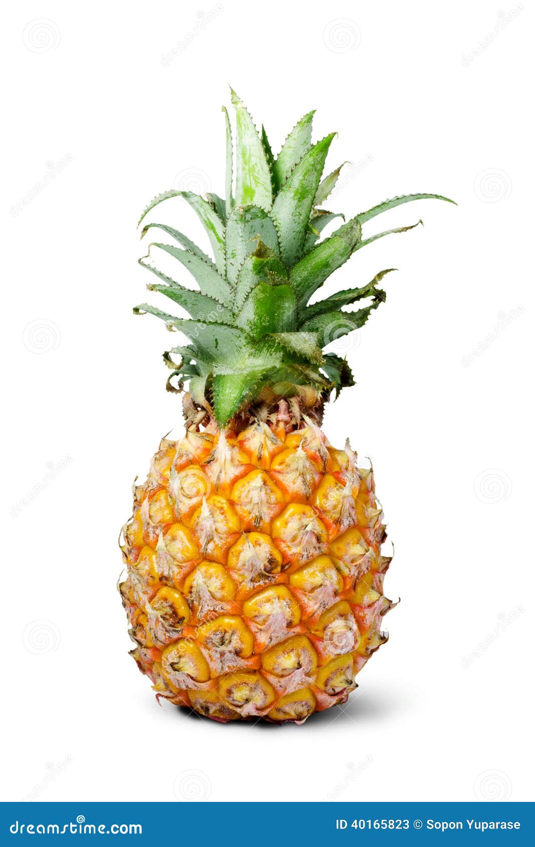 Pine apple stock image. Image of food, healthly, apple - 40165823
