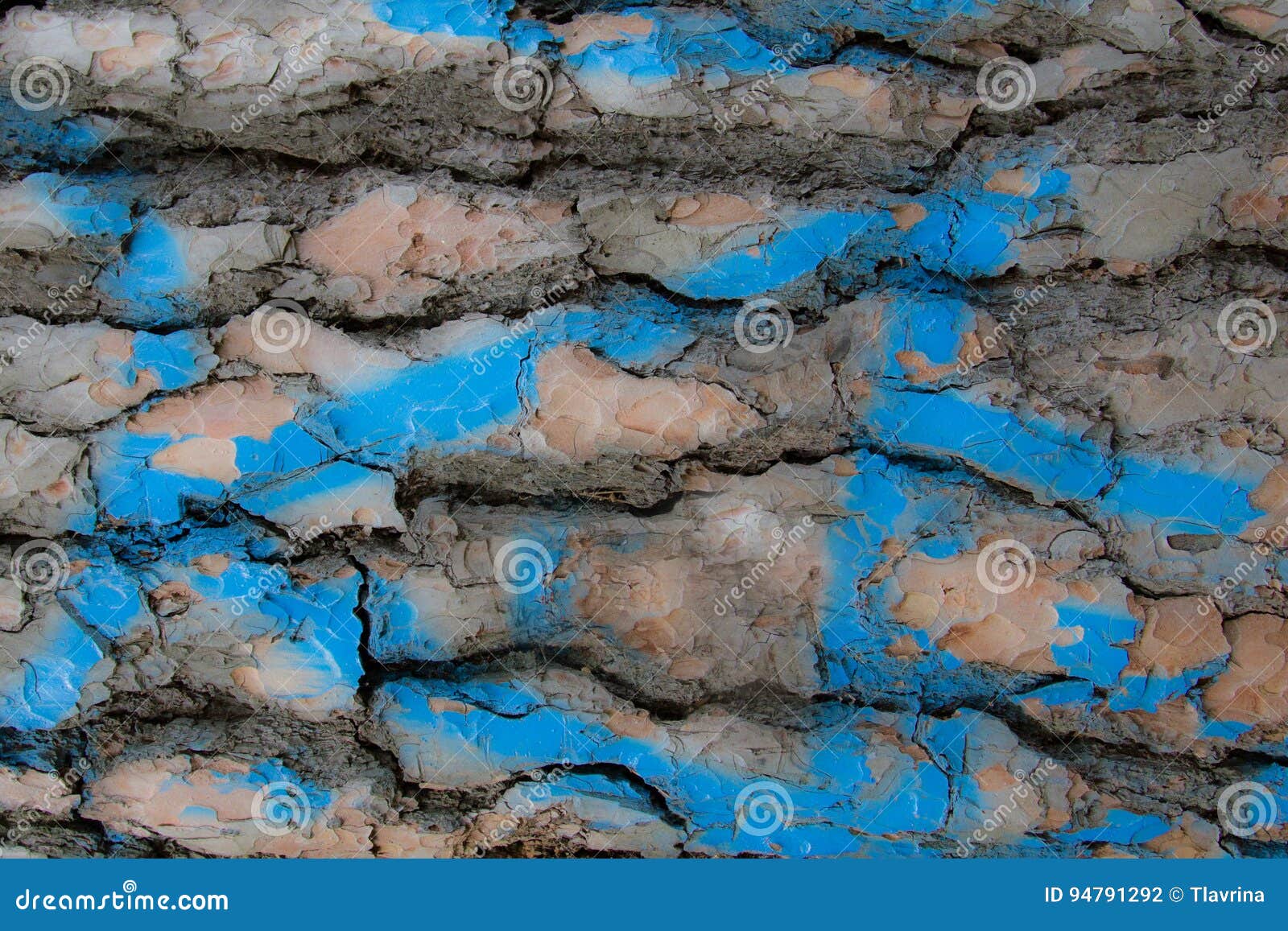 Pine Bark Colored Blue Paint Natural Texture Ecological Background ...