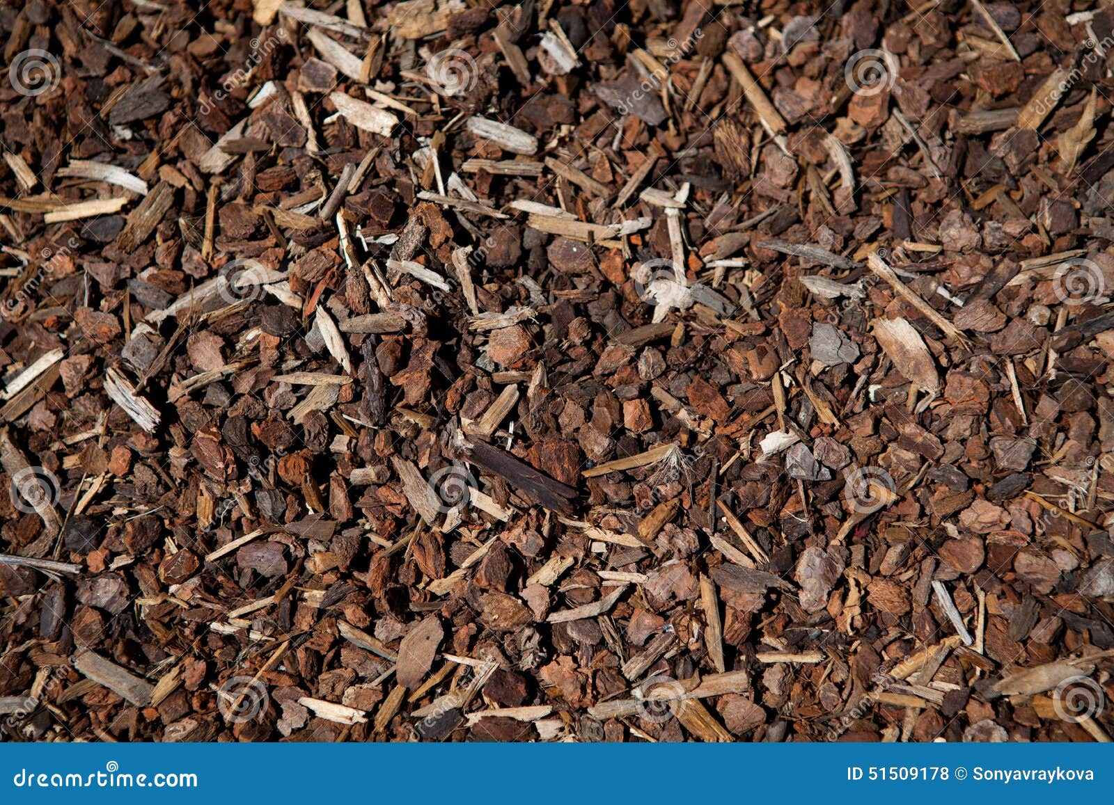 Pine bark ground stock photo. Image of stone, rock, gardening - 51509178