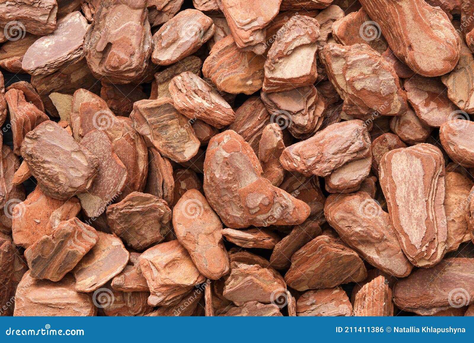 Pine Bark, Top View. Background of Pine Tree Bark Stock Photo - Image ...