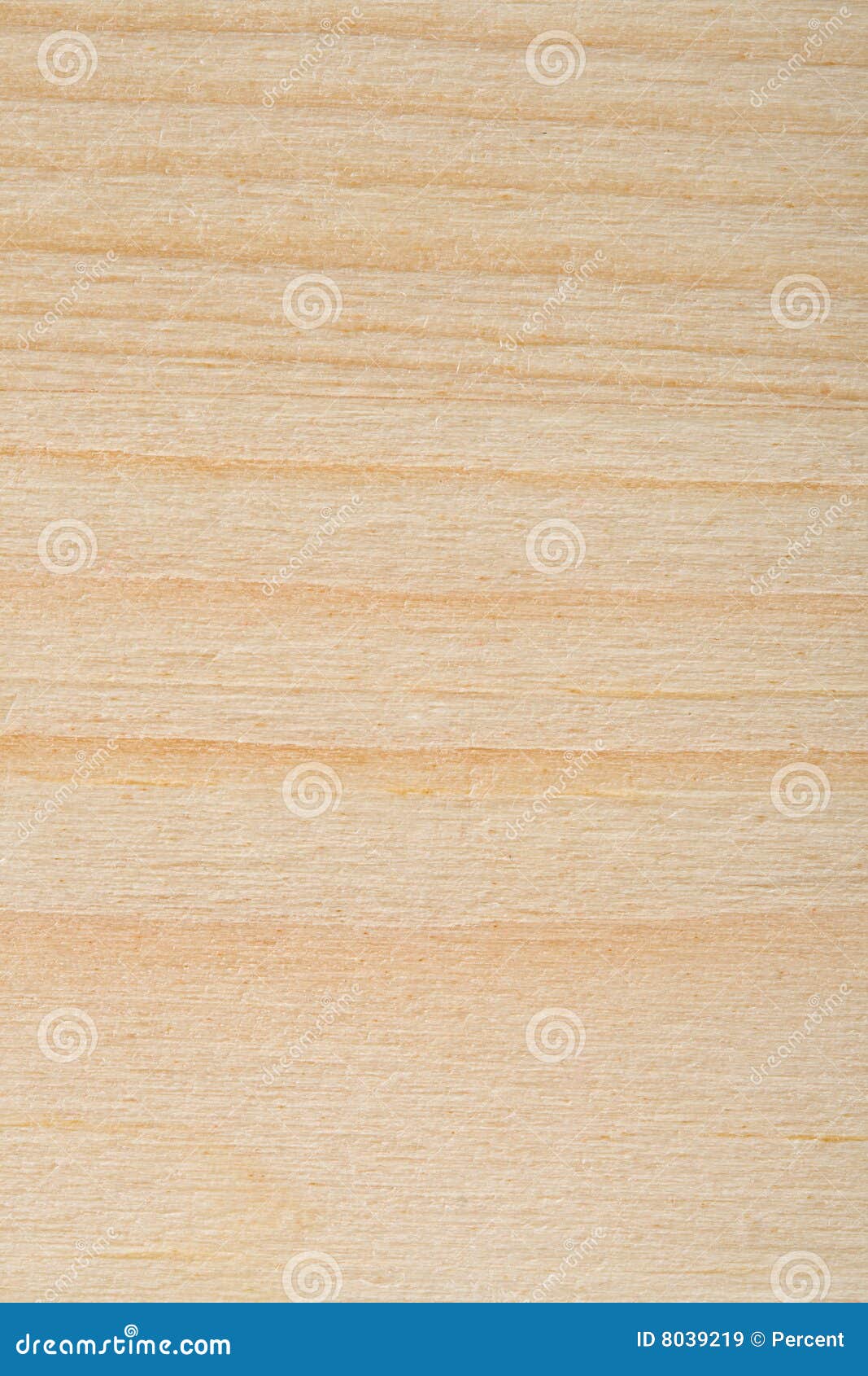 Pine board stock image. Image of macro, pine, wooden, pattern - 8039219