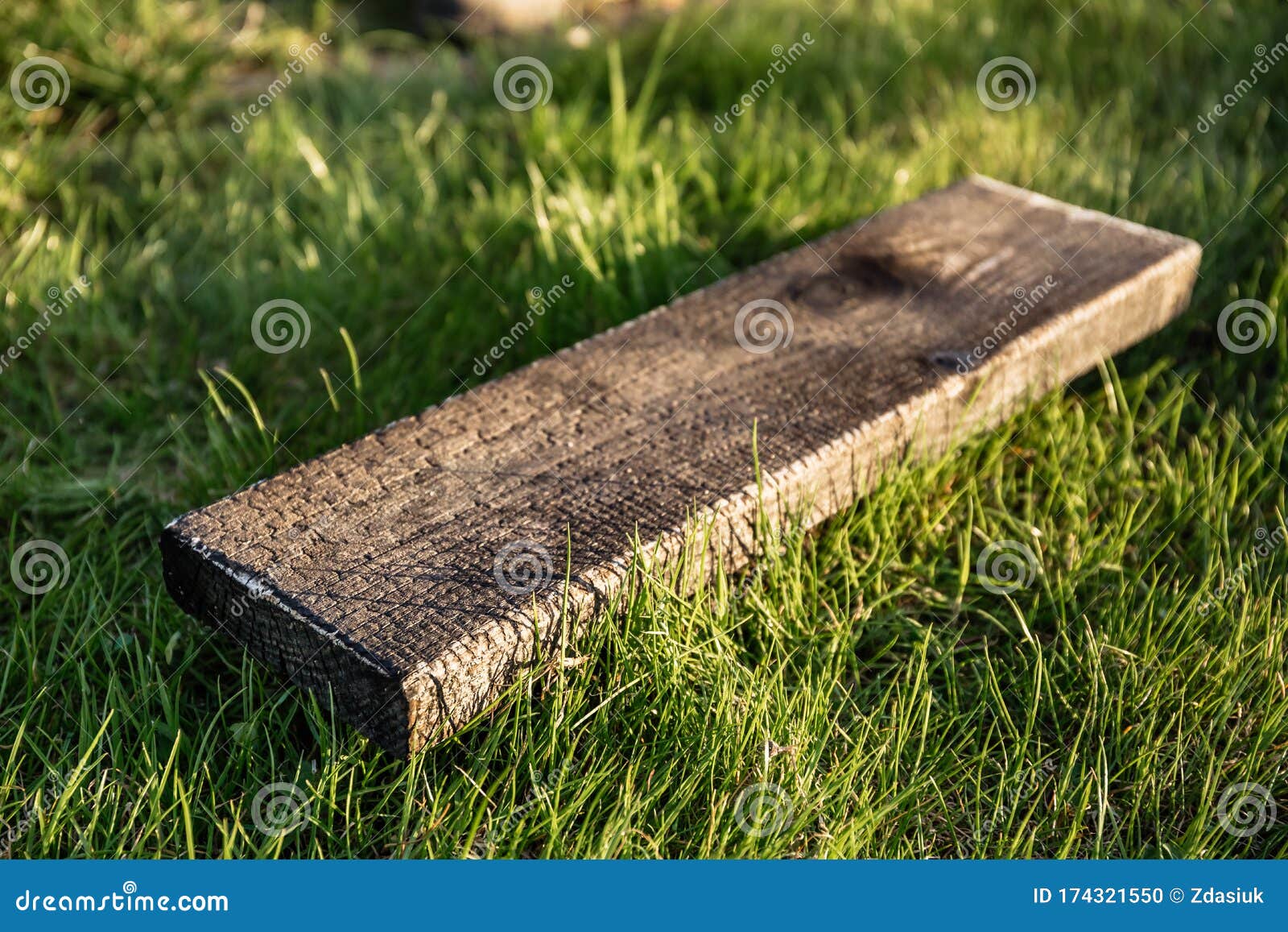 Pine Board is Burned As a Method of Processing from Beetles. Aged ...