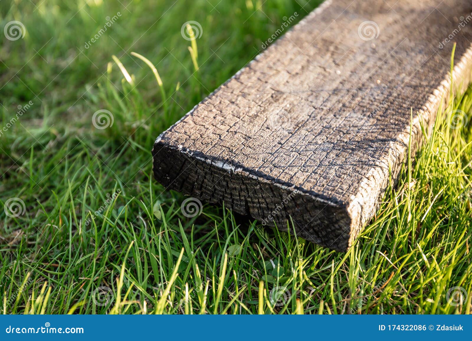 Pine Board is Burned As a Method of Processing from Beetles. Aged ...
