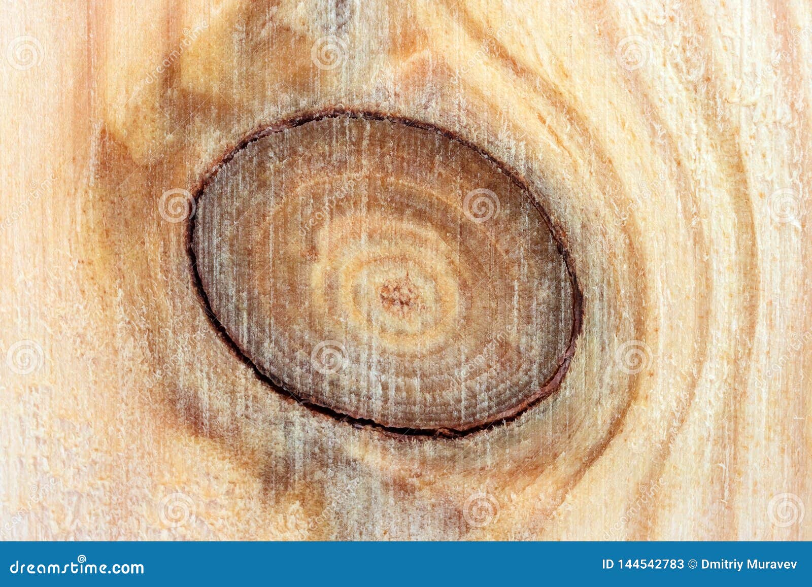 Pine Board with a Knot. the Structure of the Tree Cut Close-up Stock ...
