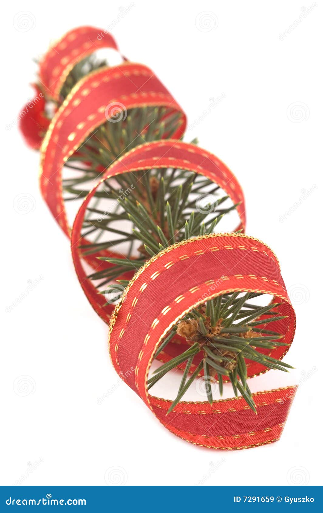 Pine Branch with a Christmas Ribbon Stock Image - Image of decorating ...