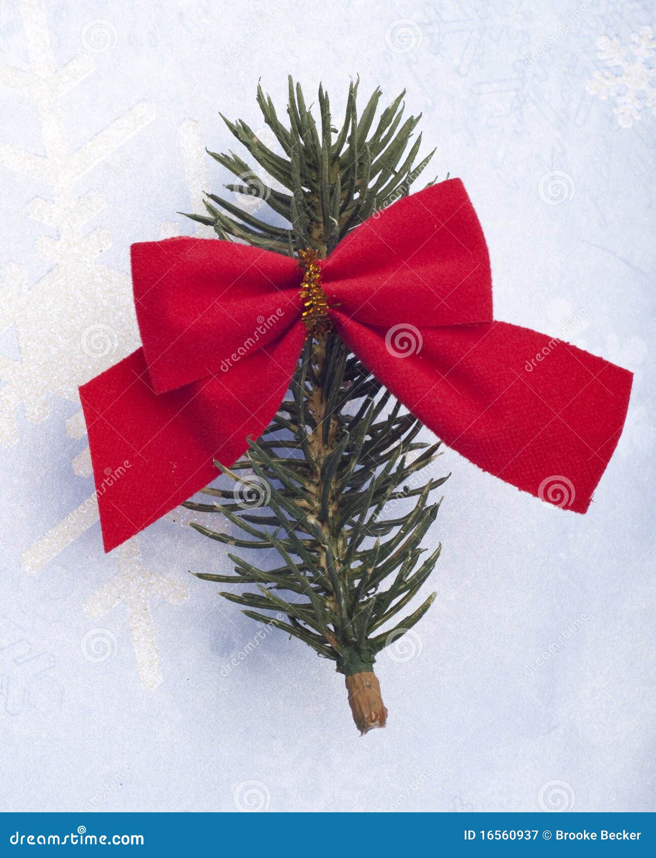 Pine Branch with a Red Bow stock image. Image of snowflake - 16560937
