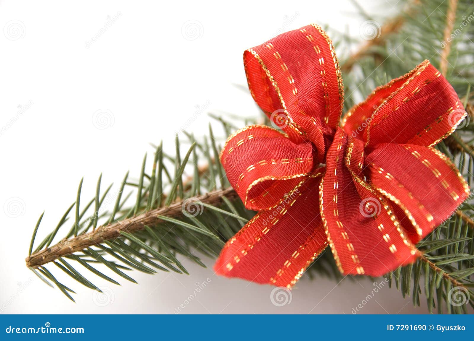 Pine branch with a red bow stock photo. Image of invitation - 7291690