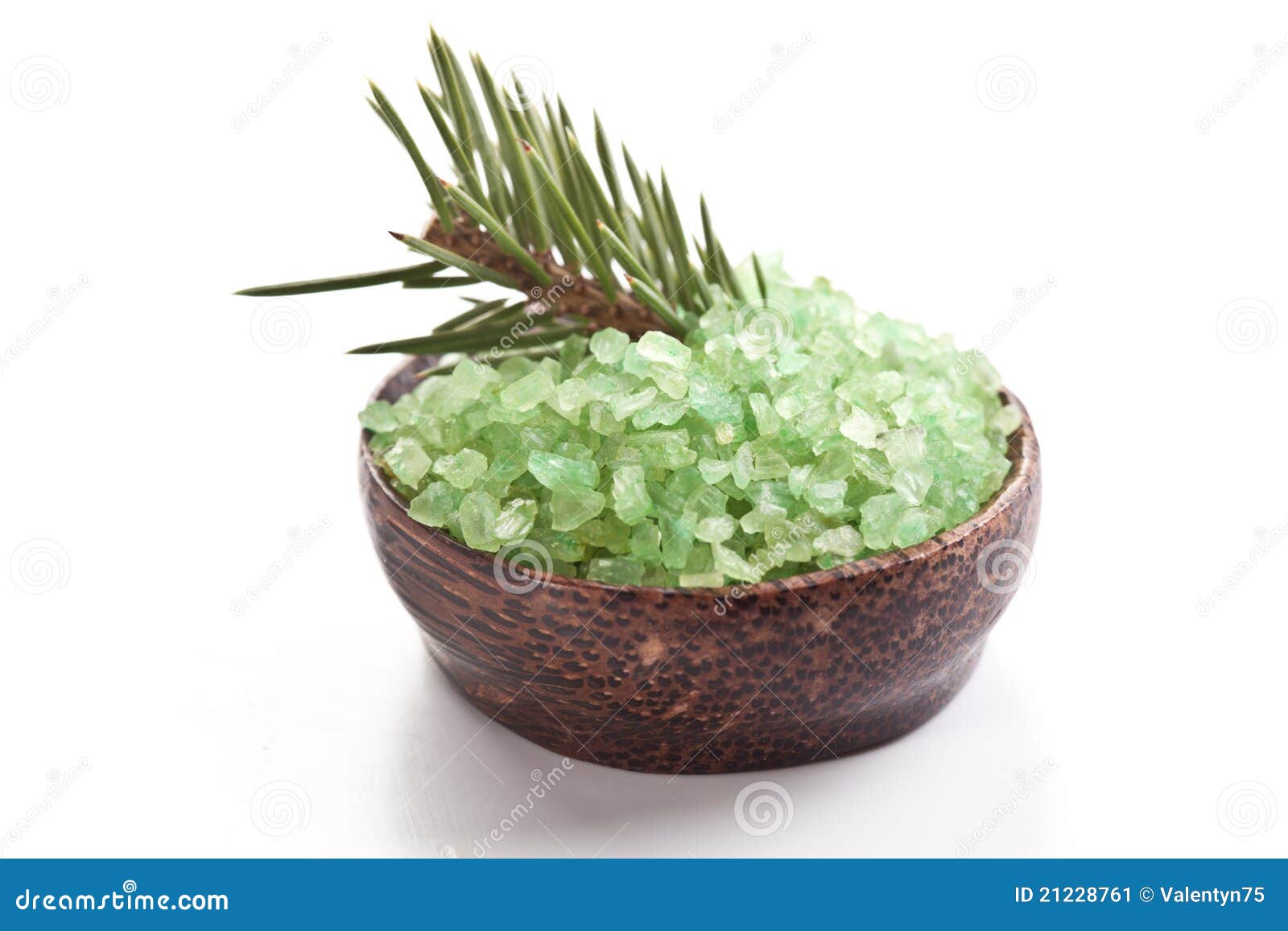 Pine branch with sea-salt. stock image. Image of aroma - 21228761