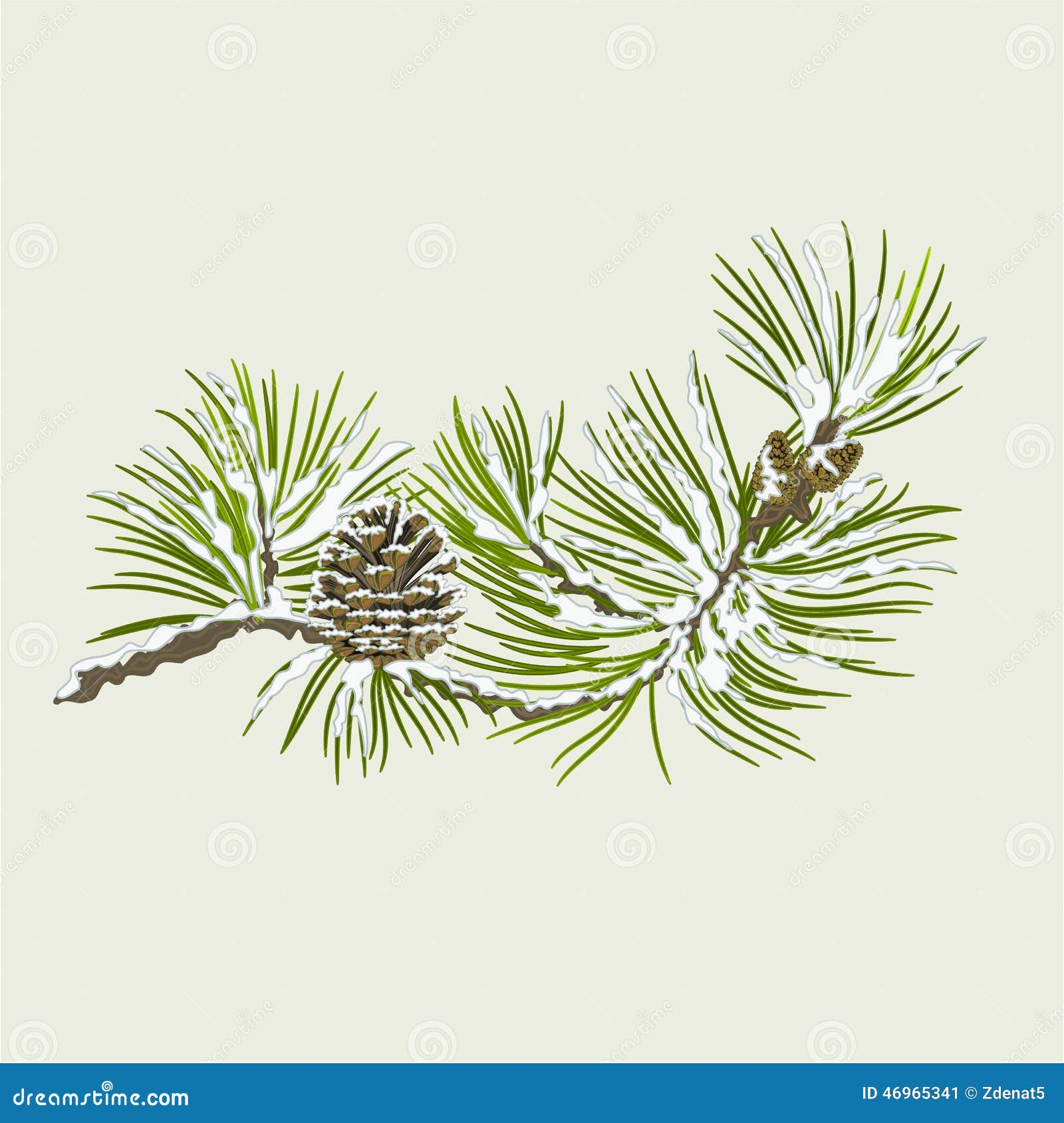 Snowy Pine Tree Vector