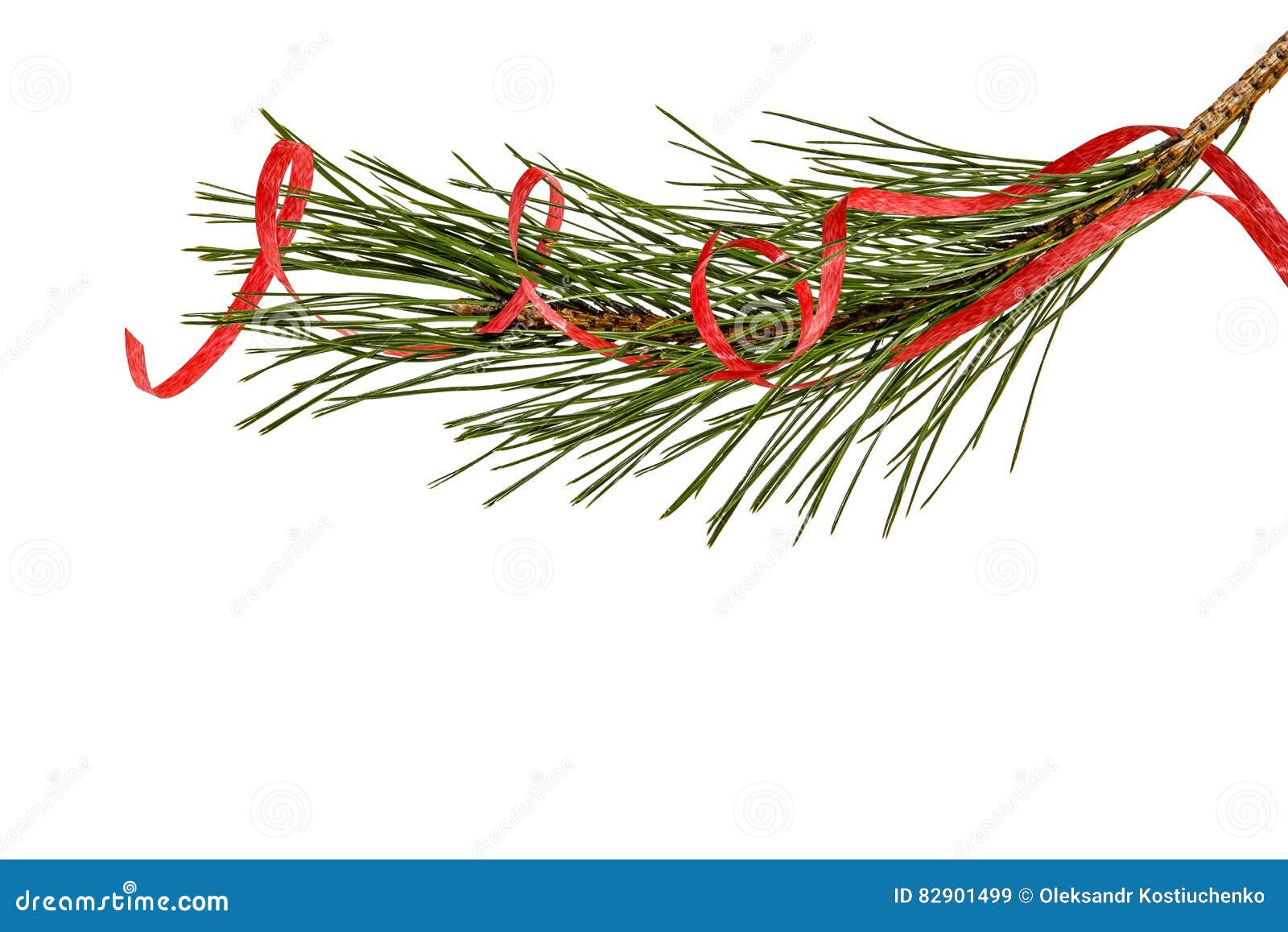Pine Branch and Streamer, Isolated on a White Background Stock Image ...