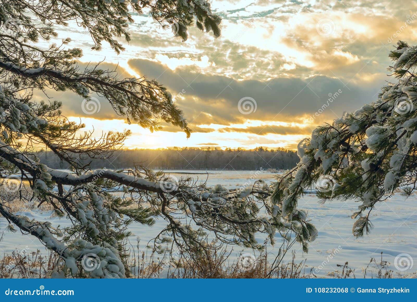 10,126 Snow Setting Photos - Free & Royalty-Free Stock Photos from ...