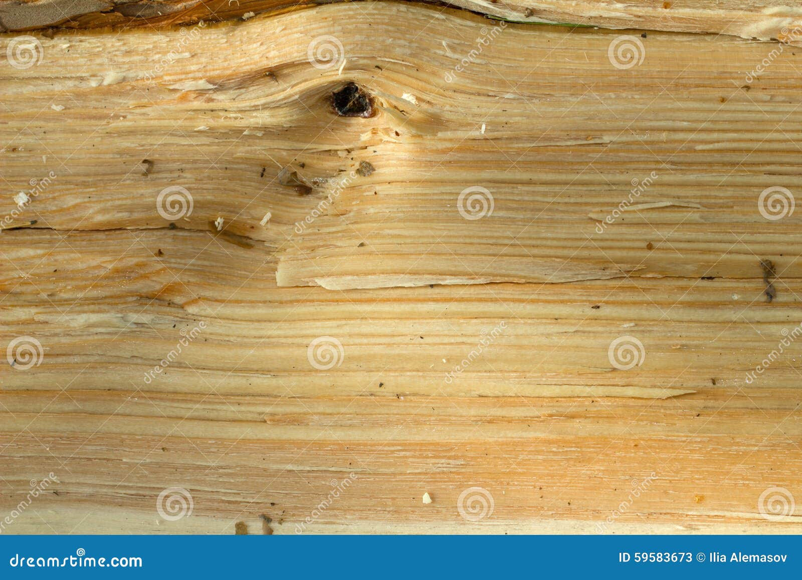 Pine Break Wood Texture Stock Photography | CartoonDealer.com #59583608
